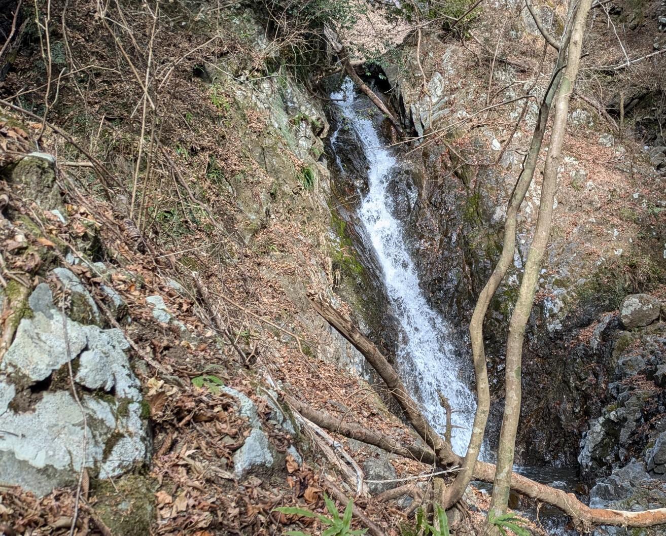 蓑毛〜大山 / ashさんの大山の活動データ | YAMAP / ヤマップ