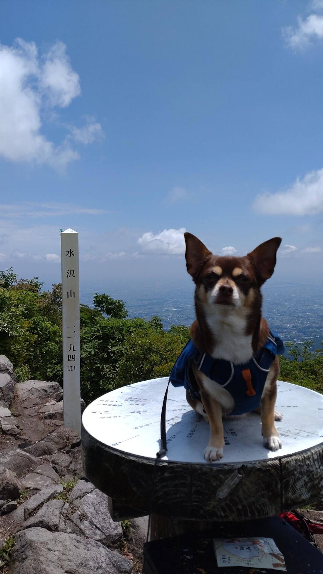 水沢山の森に木霊？ / y.zatoさんの榛名山・天狗山・天目山の活動データ | YAMAP / ヤマップ