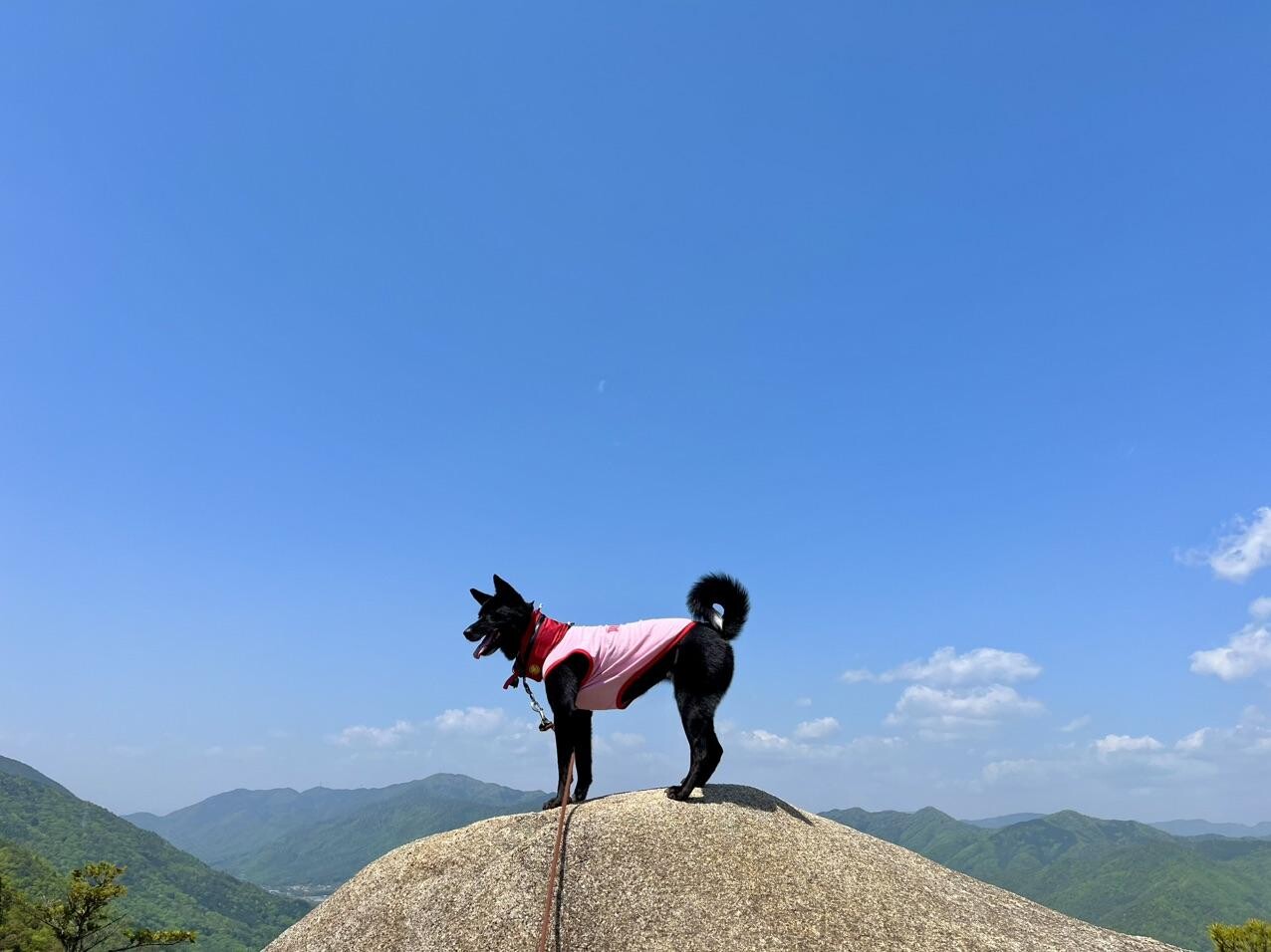 ノアールのページ | YAMAP / ヤマップ