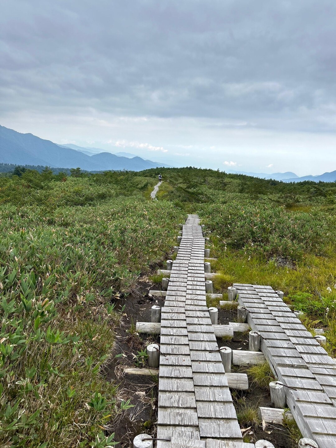大日岳 / tomtomさんの立山・雄山・浄土山の活動日記 | YAMAP / ヤマップ