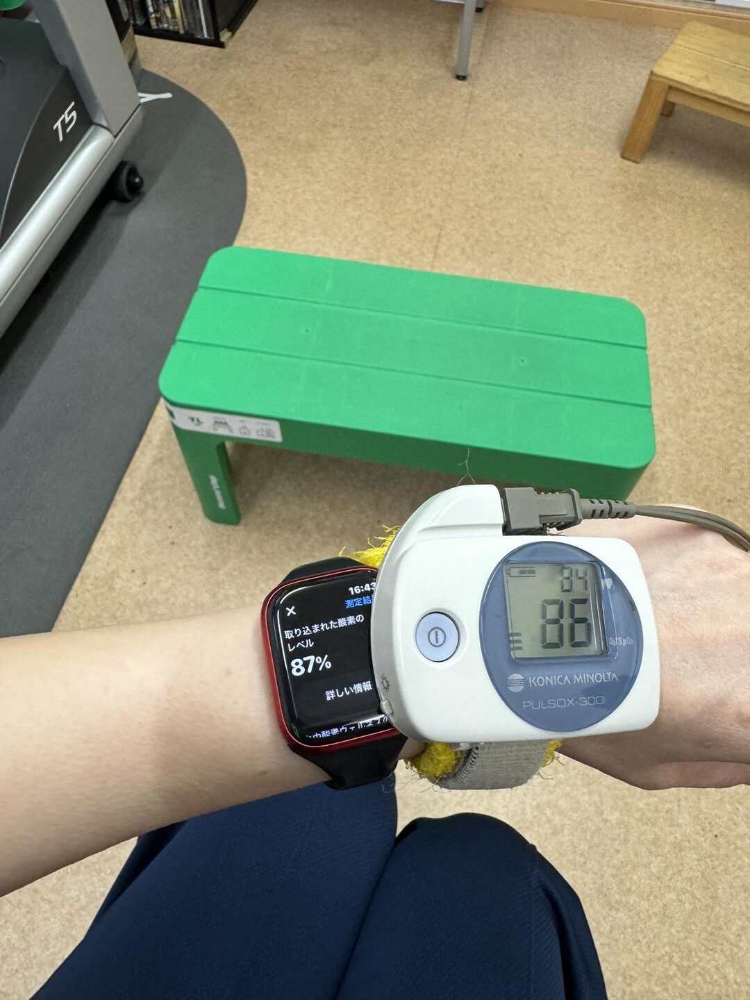 ミウラ・ドルフィンズさんの富士山テストを... / 🐰Lininha(Lina)🐢🐇さんのモーメント | YAMAP / ヤマップ