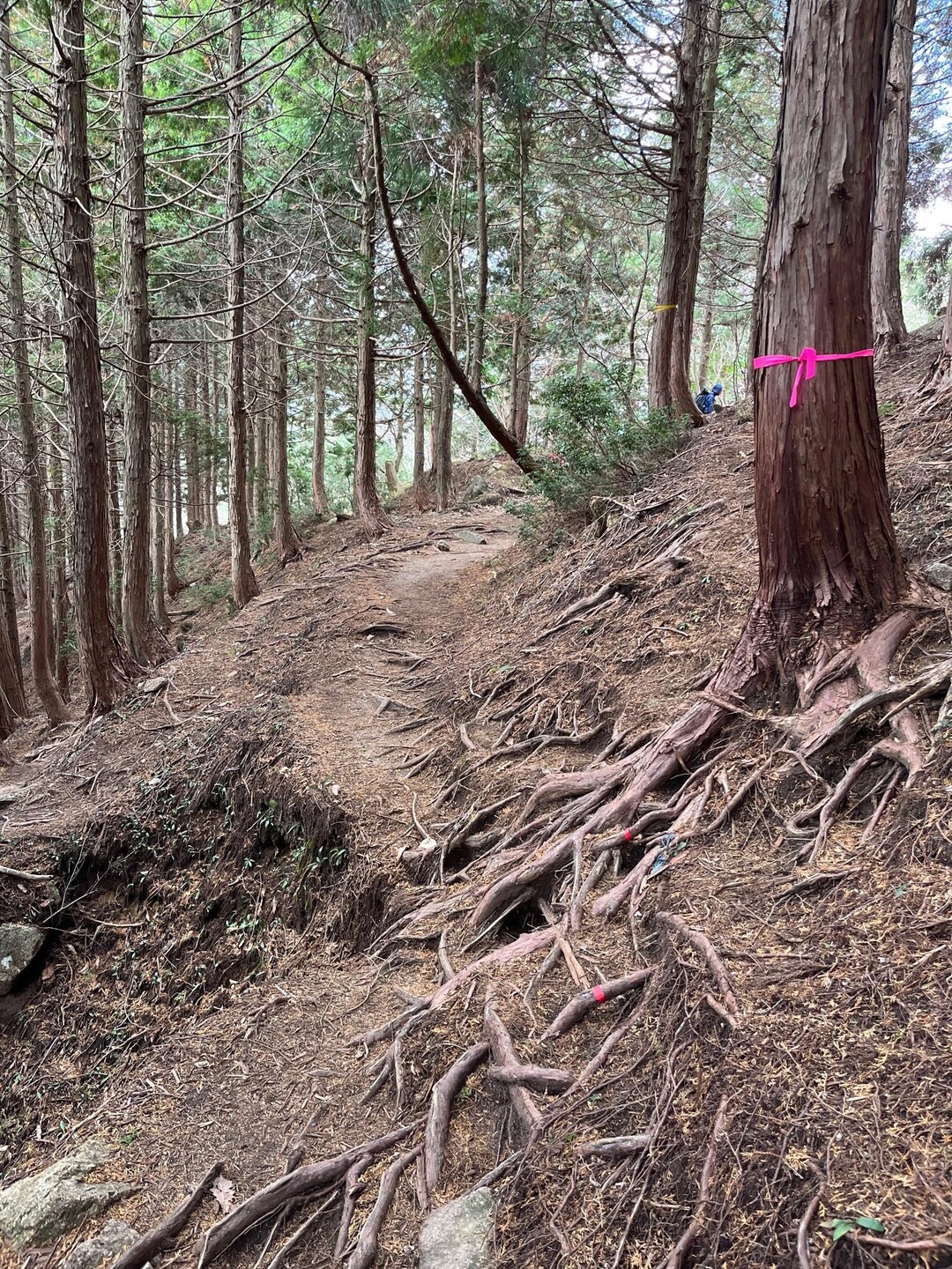 karin.fさんの投稿したフィールドメモ | YAMAP / ヤマップ