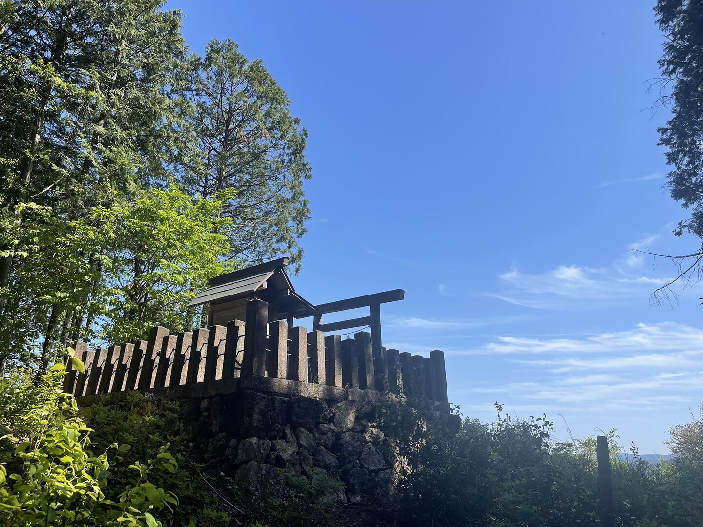 顔戸山・八王子山 / cookieさんの高尾峯（御嵩富士）の活動データ | YAMAP / ヤマップ