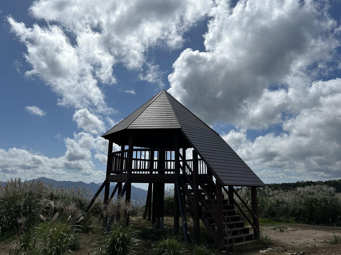 ちょい高清水トレッキング ☆ﾟ︎.*･ Enjoy mountain food♪ / 💖🐰Roco🐰💖さんの伯州山・霧ヶ原の活動データ | YAMAP / ヤマップ