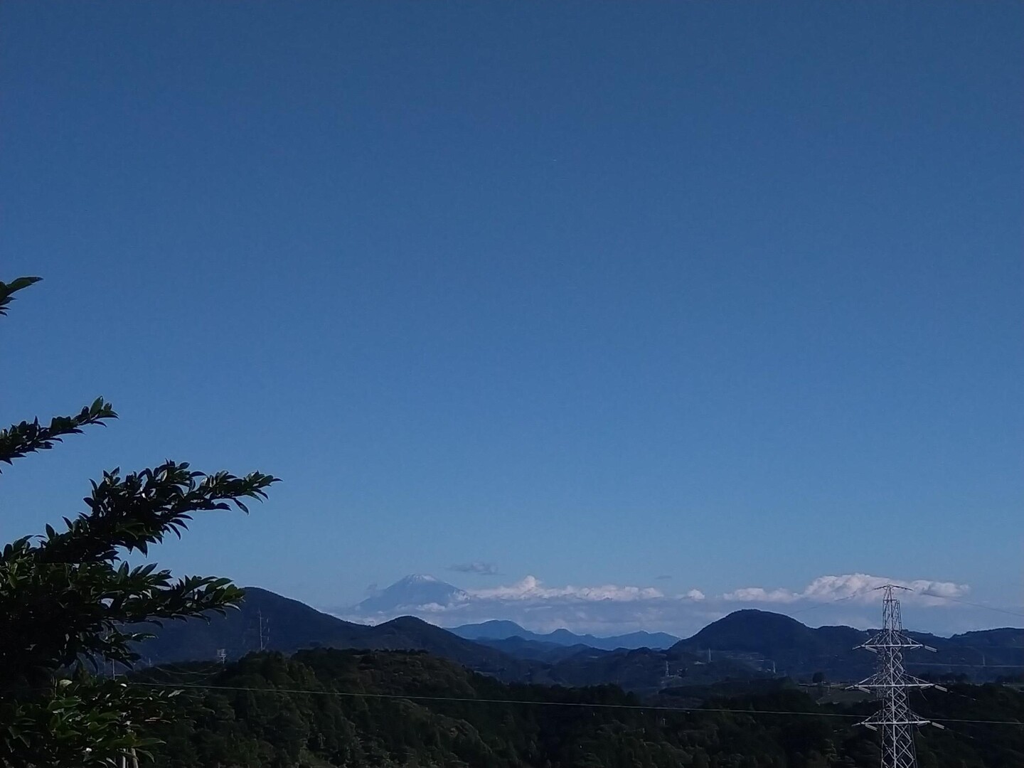 粟ヶ岳 / MAXさんの粟ヶ岳の活動データ | YAMAP / ヤマップ