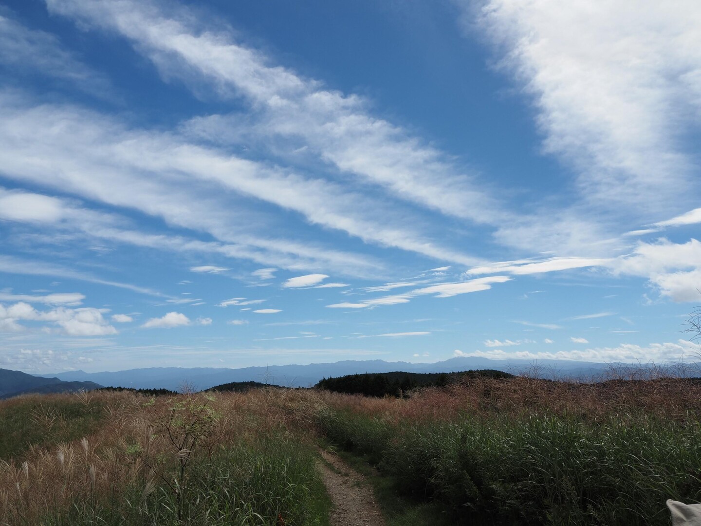 岩湧山 / ka-2さんの岩湧山・一徳防山・三石山の活動データ | YAMAP / ヤマップ