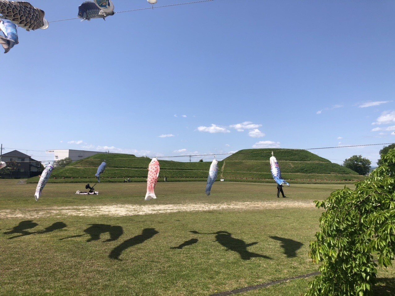 サイクリング-2021-04-25 / osamさんのウォーキングの活動データ | YAMAP / ヤマップ