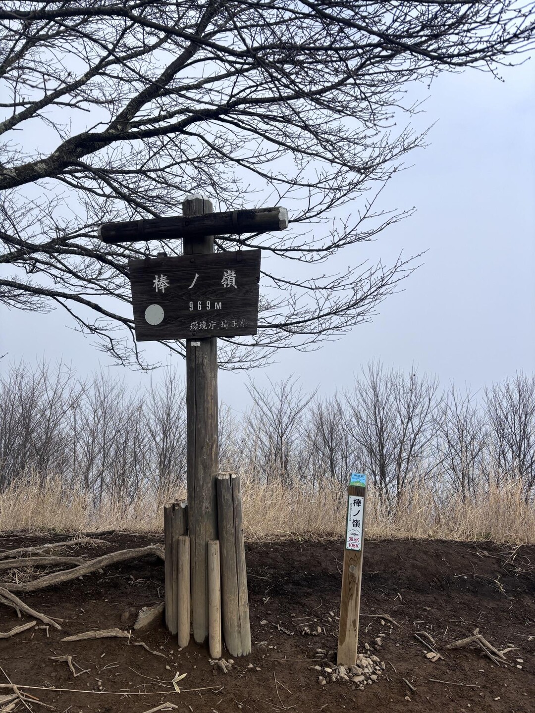 棒ノ嶺〜岩茸石山〜惣岳山縦走 / ma34sさんの棒ノ折山（棒ノ嶺）の活動データ | YAMAP / ヤマップ
