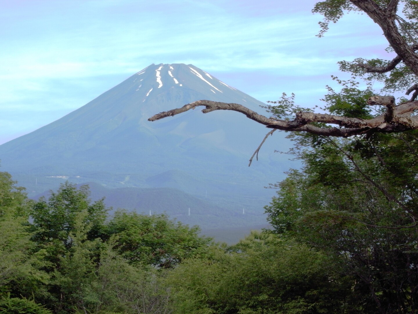 山神社から愛鷹山（黒岳・越前岳・呼子岳）周回 / kamonmonさんの愛鷹山・大岳・黒岳の活動データ | YAMAP / ヤマップ