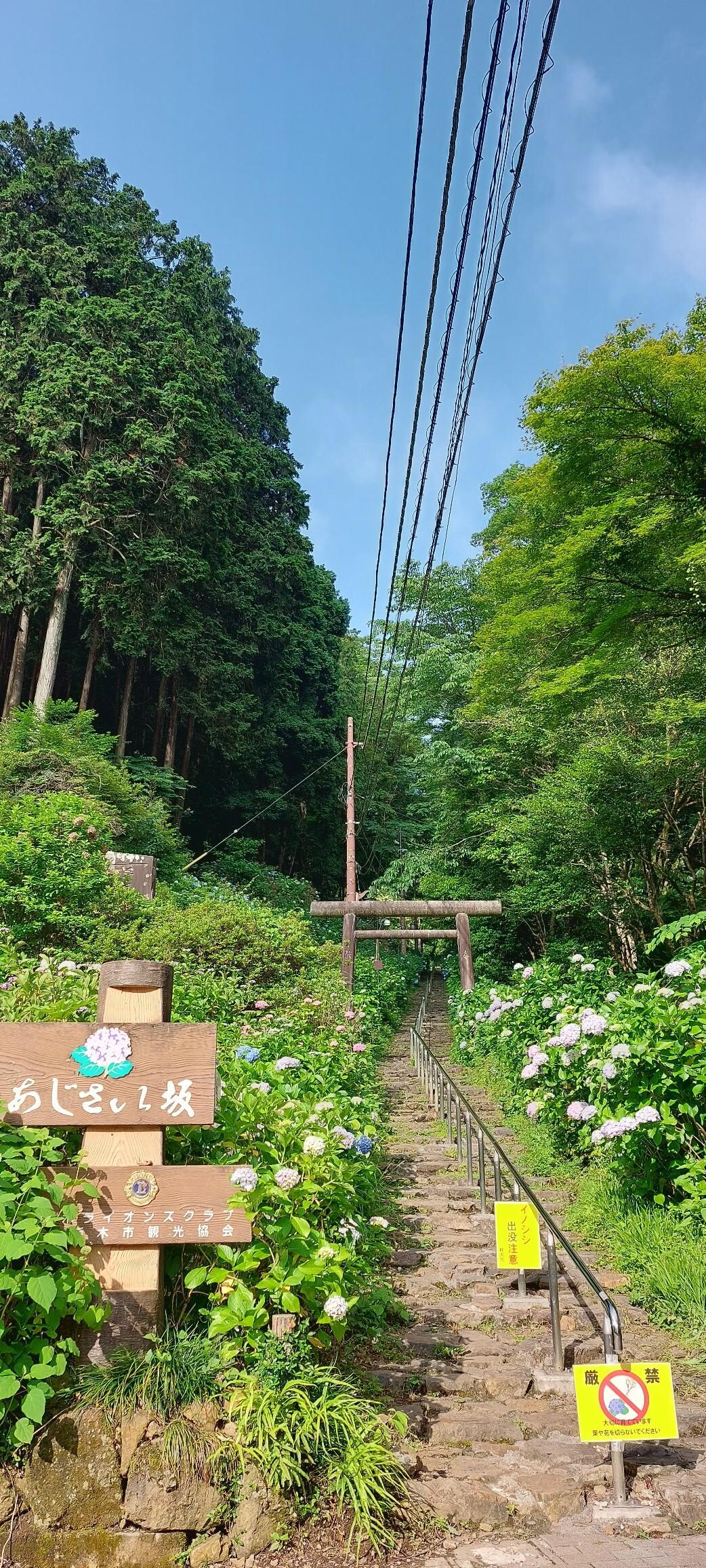 太平山・晃石山 / HALさんの太平山・晃石山・唐沢山の活動データ | YAMAP / ヤマップ
