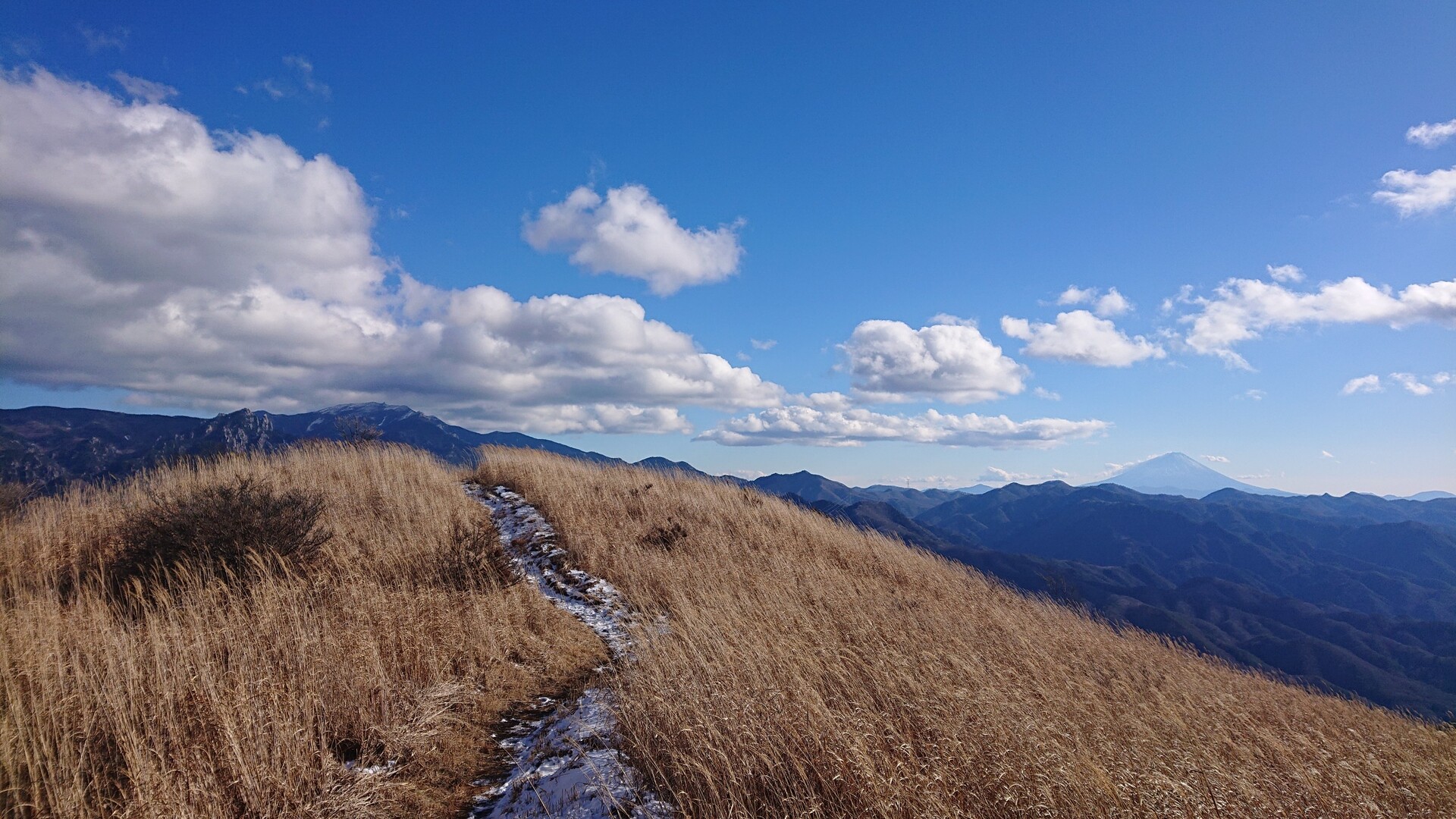 横尾山(山梨百名山36座目) / zumiさんの瑞牆山・金峰山の活動データ | YAMAP / ヤマップ