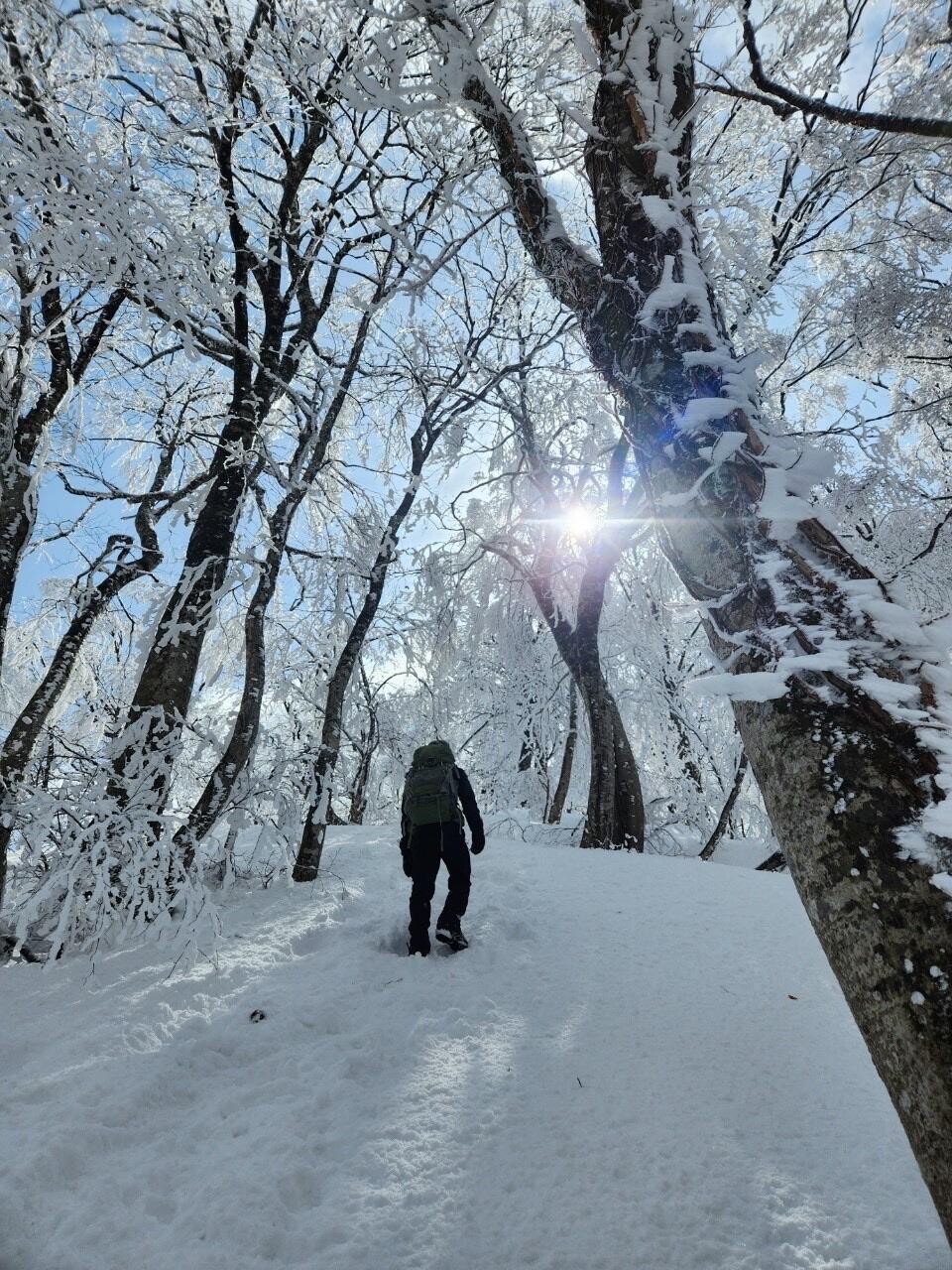 大蔵ブルー🩵 / katsu.fdさんの菅名岳・大蔵山・鳴沢峰の活動データ | YAMAP / ヤマップ
