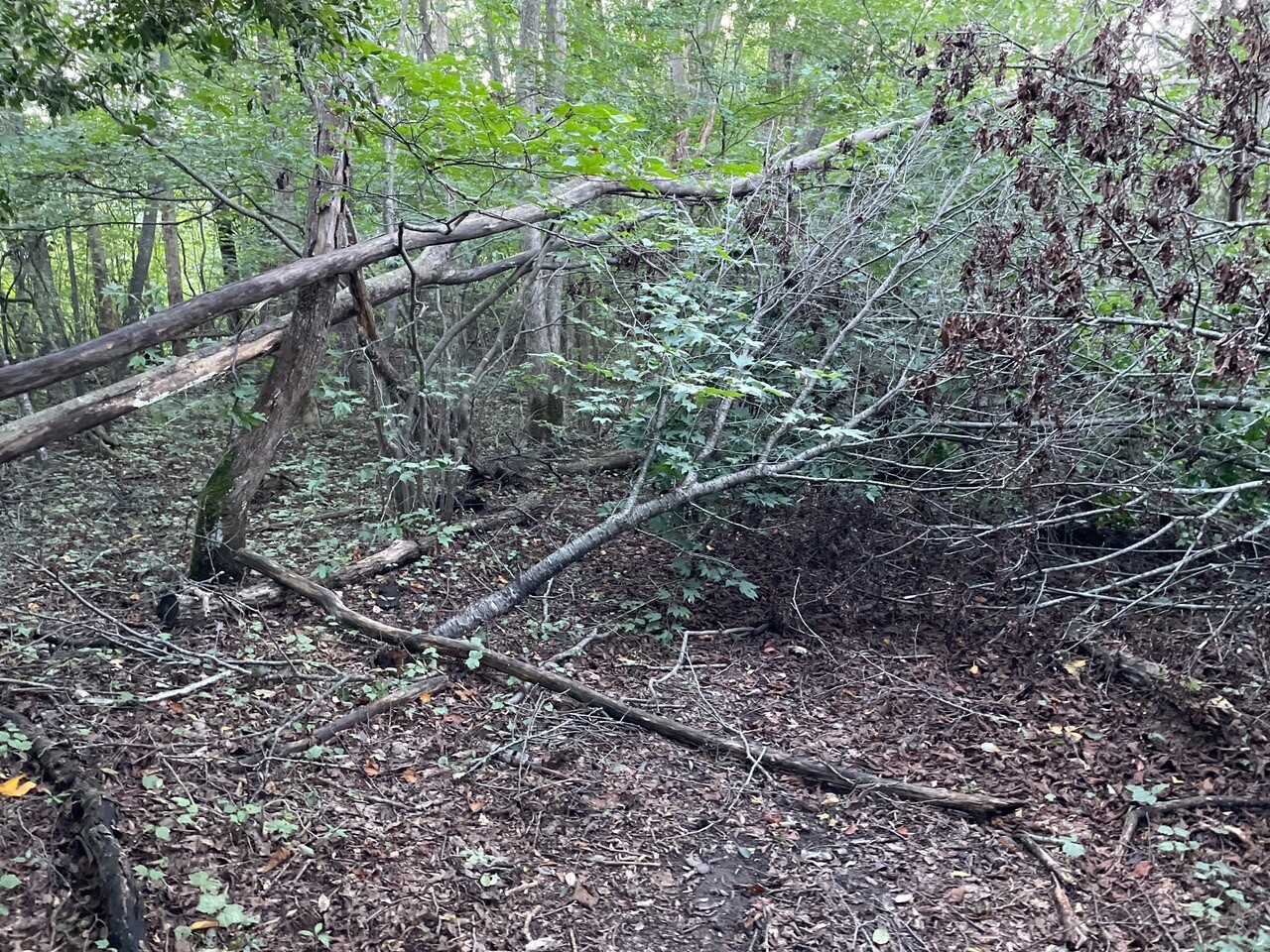 xmatyoさんの投稿したフィールドメモ | YAMAP / ヤマップ