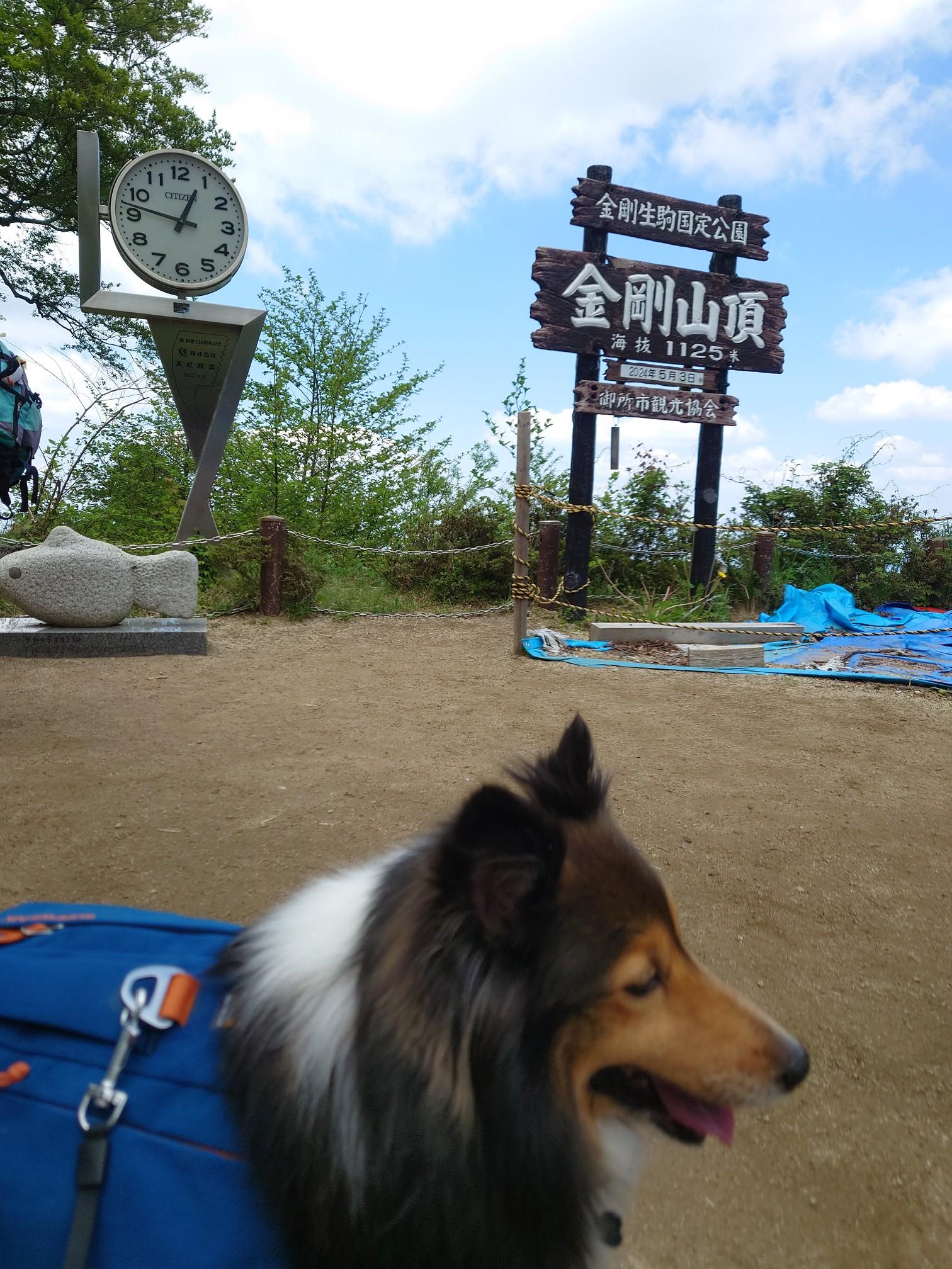 大日岳・金剛山 / Teddyさんの金剛山・二上山・大和葛城山の活動データ | YAMAP / ヤマップ