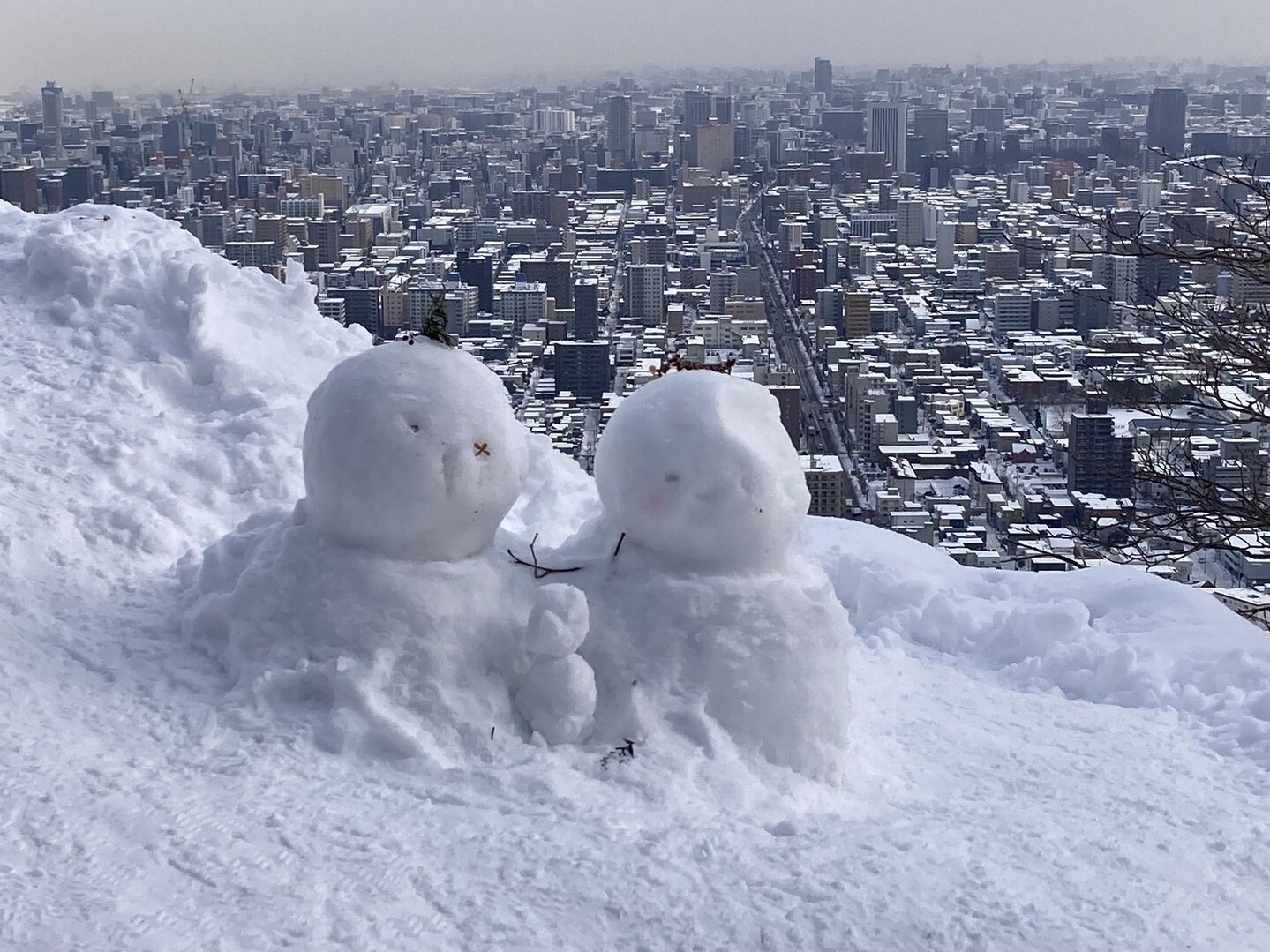 円山お散歩ツアー / ogamiさんの藻岩山の活動データ | YAMAP / ヤマップ