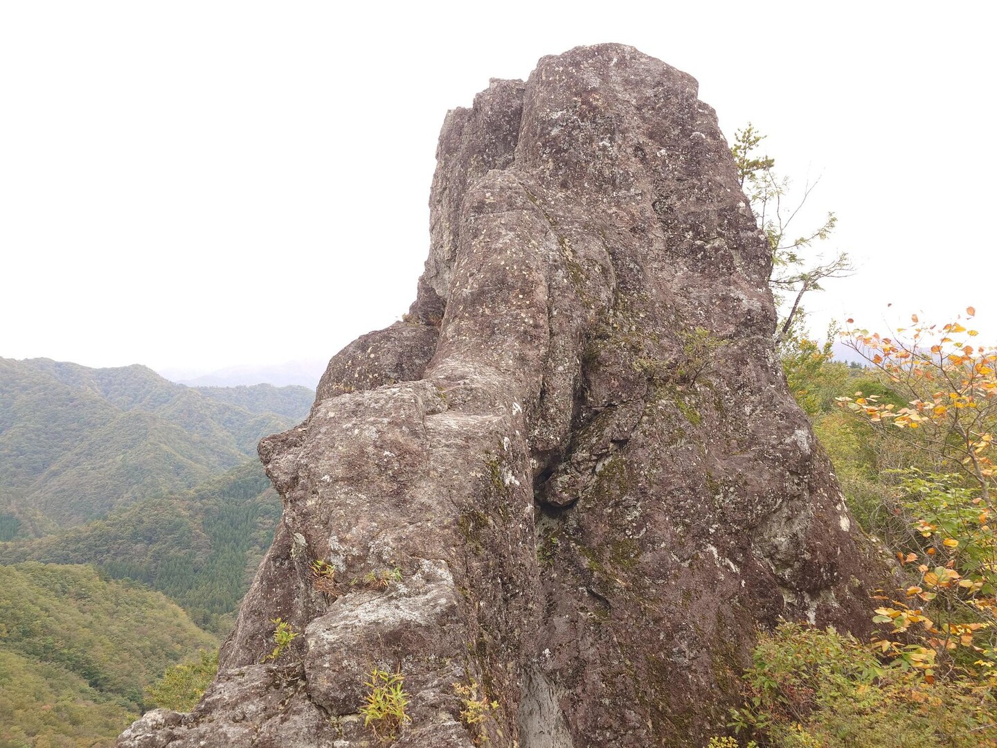 オボコンベ山 / CPさんのオボコンベ山・桐ノ目山の活動データ | YAMAP / ヤマップ