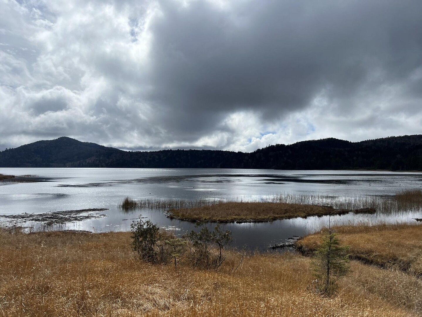 会津沼田街道-2023-10-29 / keyさんの尾瀬・燧ヶ岳の活動データ | YAMAP / ヤマップ