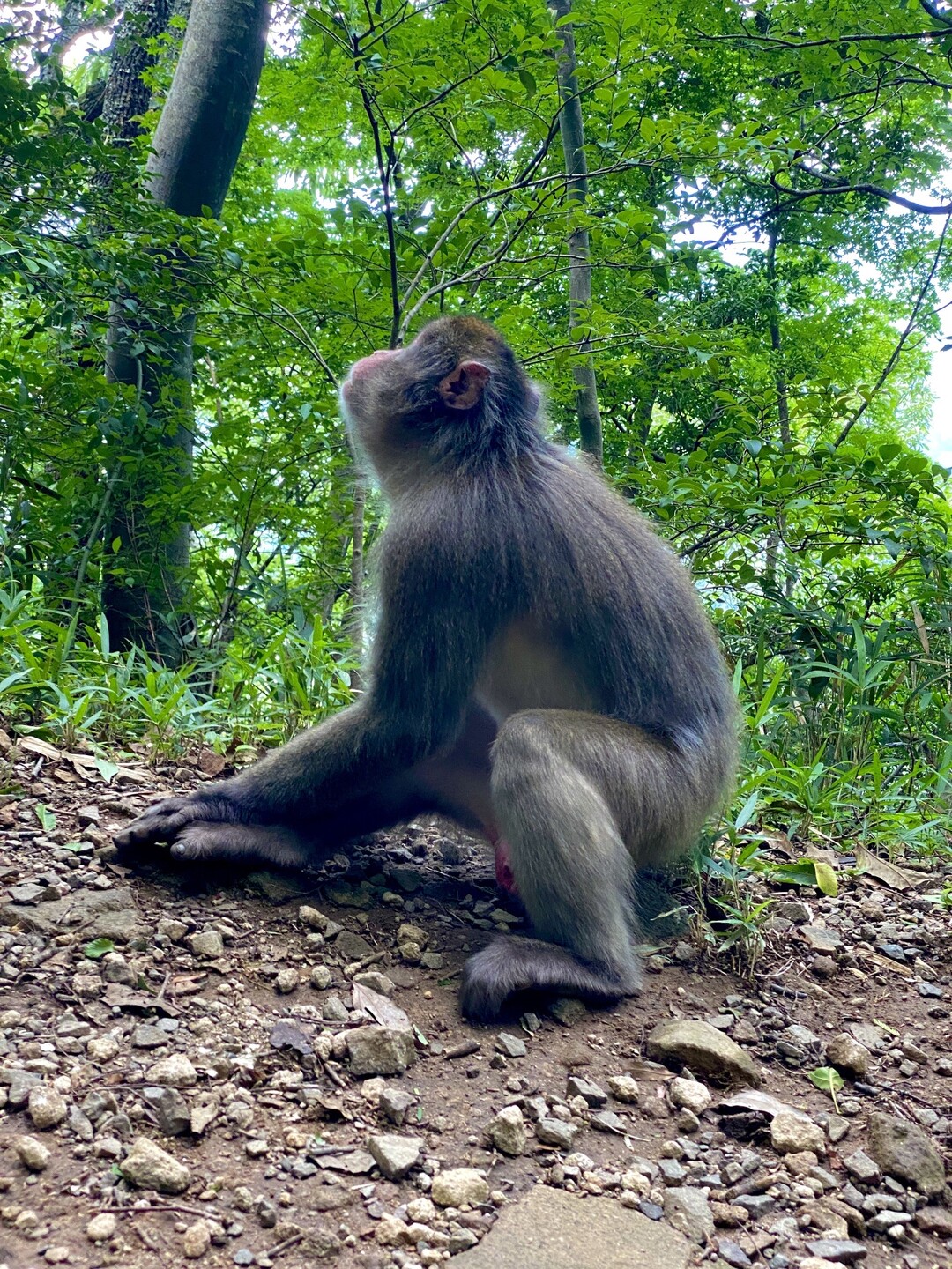 昼1時間の休憩時間、昨日思いが叶えられ... / ケムタク（Kemutaku）さんのモーメント | YAMAP / ヤマップ