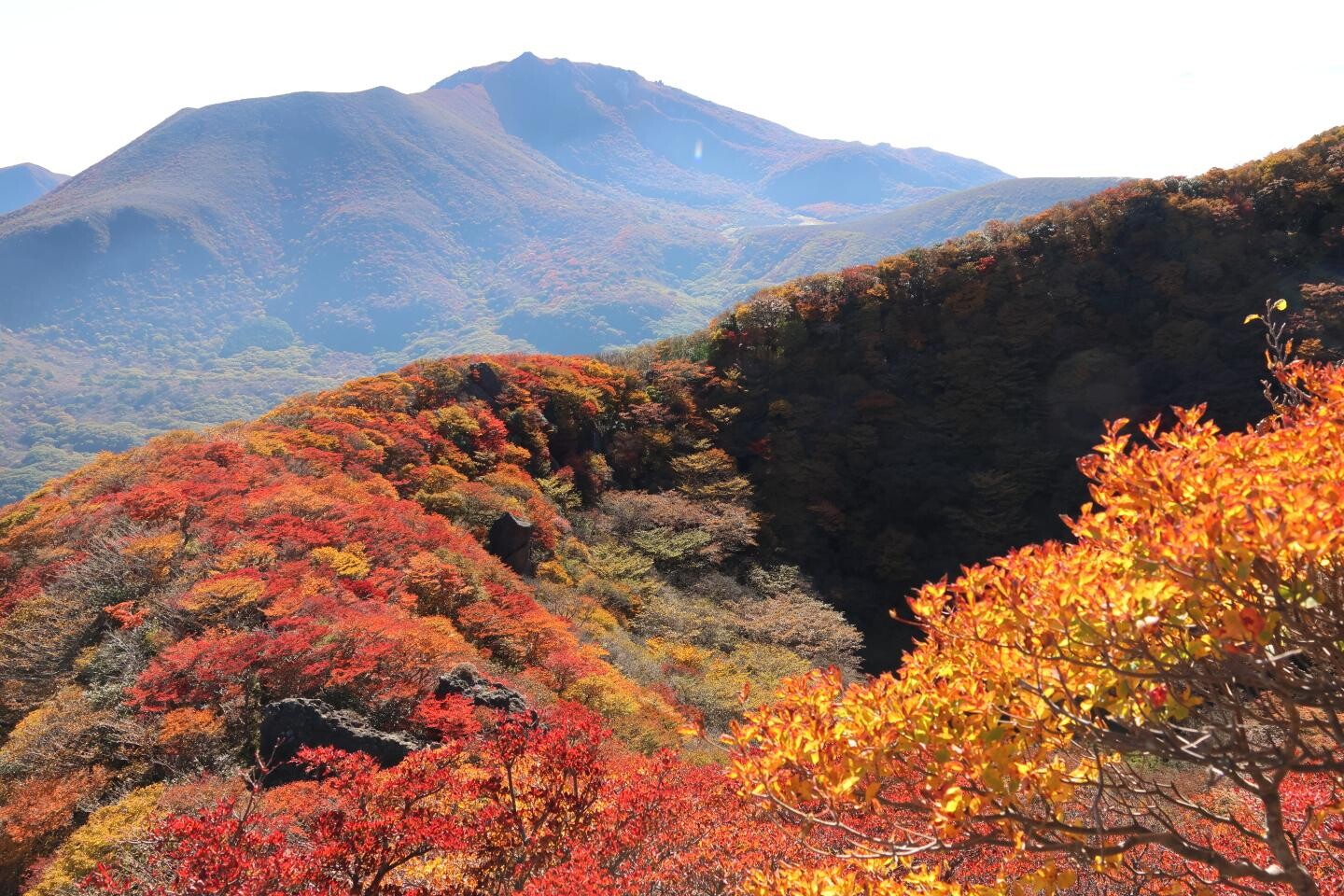 紅葉満喫！三俣山・大船山 / miippさんの九重山（久住山）・大船山・星生山の活動データ | YAMAP / ヤマップ