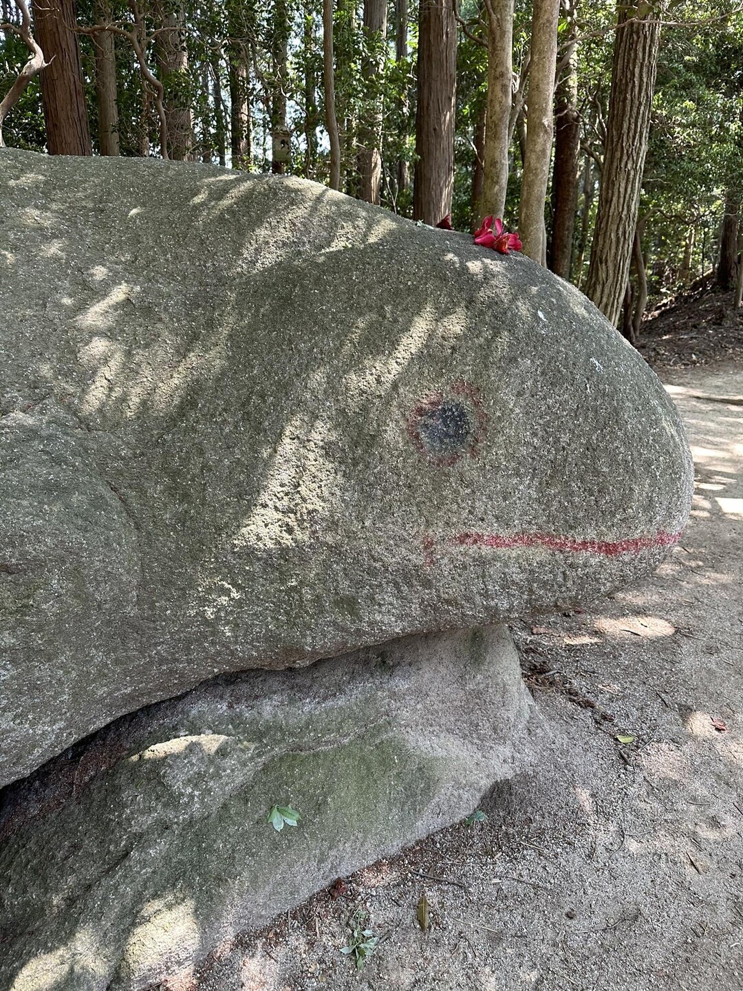 猿投山 / ayanoさんの猿投山・物見山の活動データ | YAMAP / ヤマップ