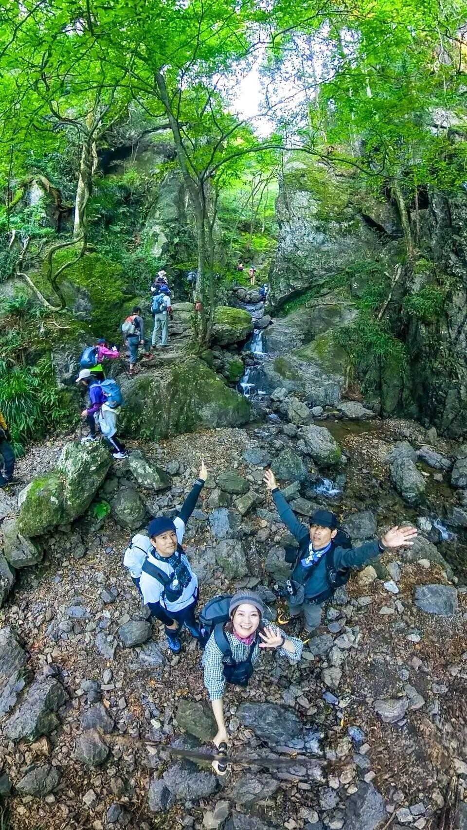 棒ノ嶺（棒ノ折山） / Tsuru(つる)さんの棒ノ折山（棒ノ嶺）の活動データ | YAMAP / ヤマップ