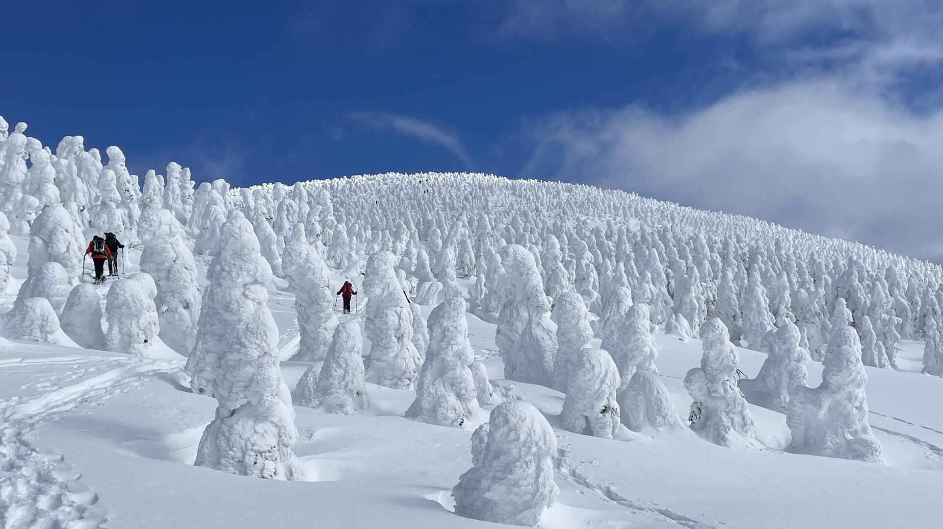 西大巓・西吾妻山 / cobalt さんの吾妻山・一切経山の活動データ | YAMAP / ヤマップ