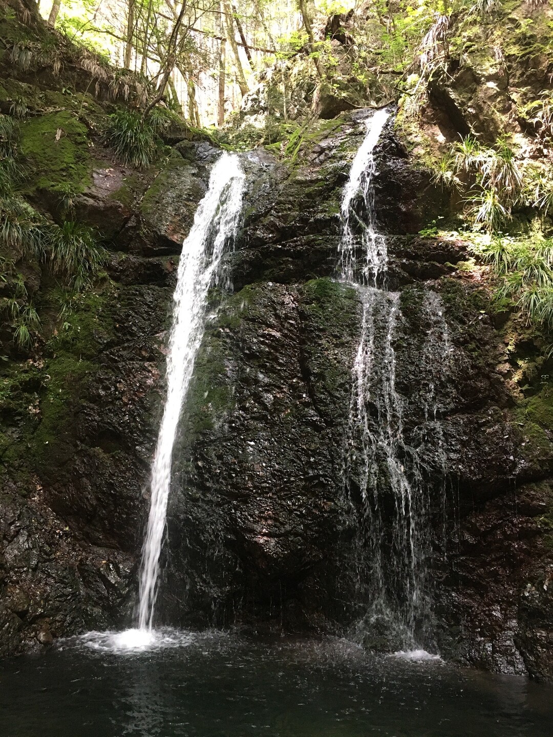 滝や沢その10 御前山、湯久保沢 ht... / やまお沢さんのモーメント | YAMAP / ヤマップ