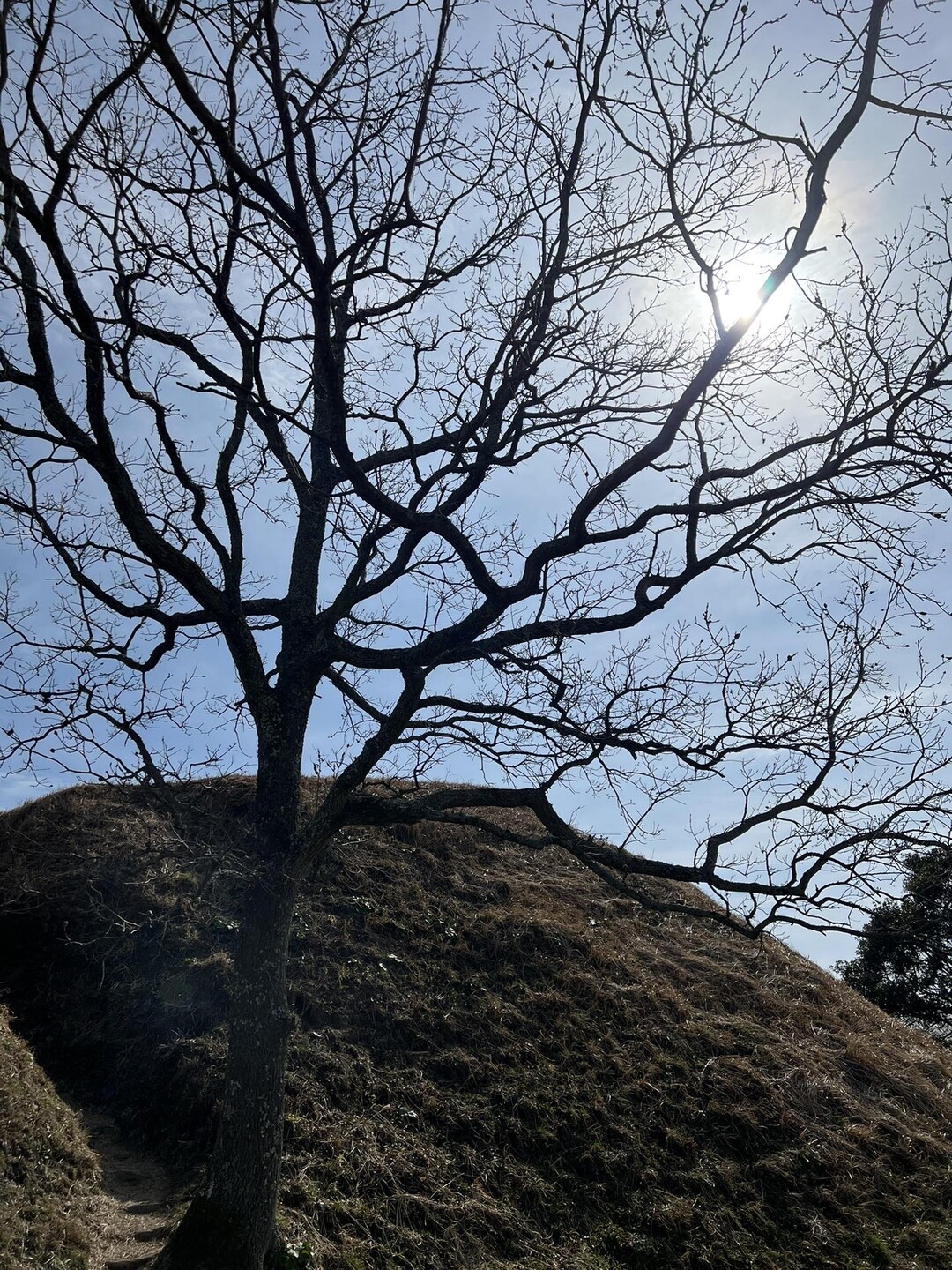 基山 / kyoopoさんの天拝山・基山の活動データ | YAMAP / ヤマップ