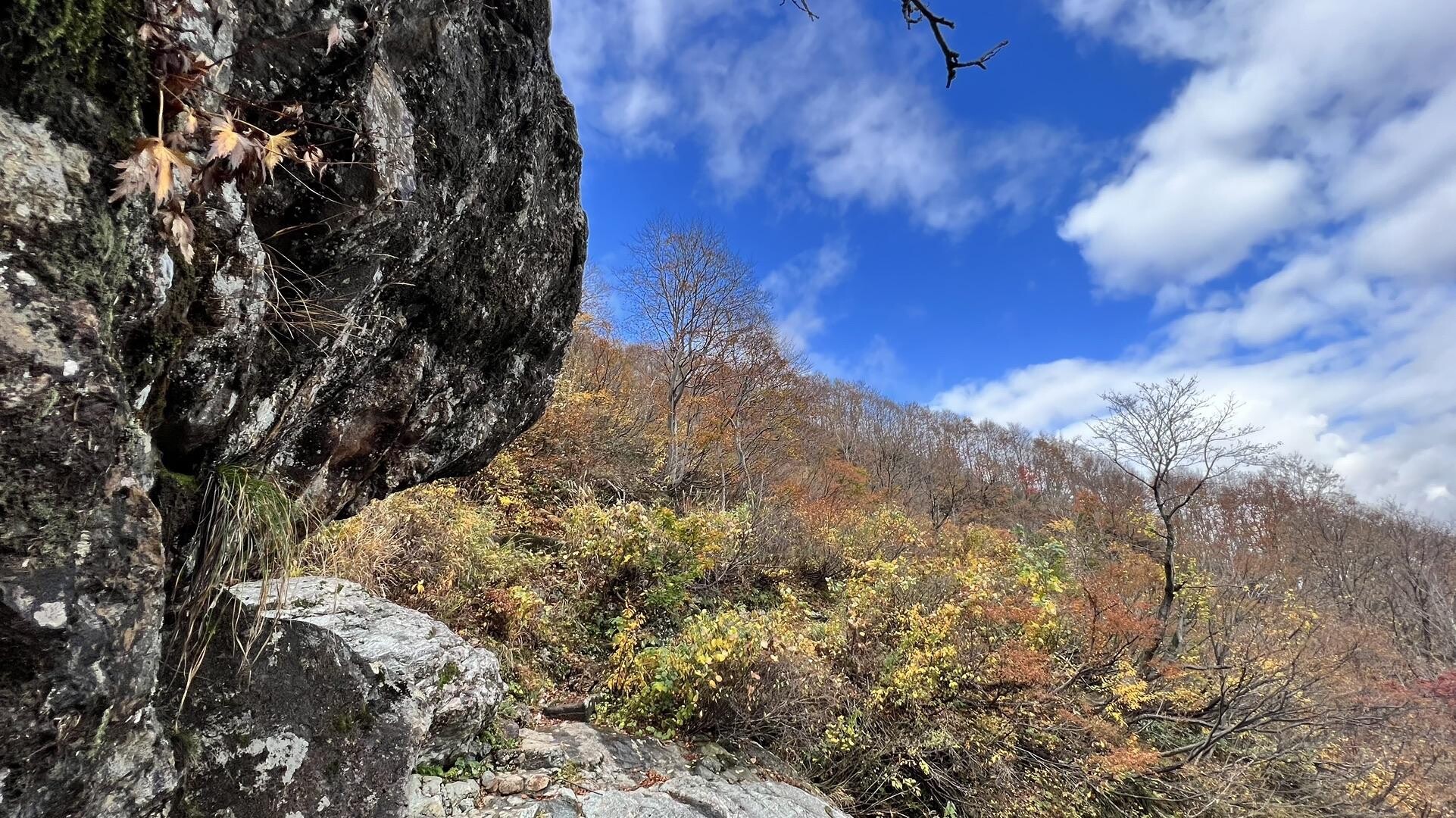 裏巻機渓谷🍁 / wak-kunさんの巻機山・割引岳・金城山の活動データ | YAMAP / ヤマップ