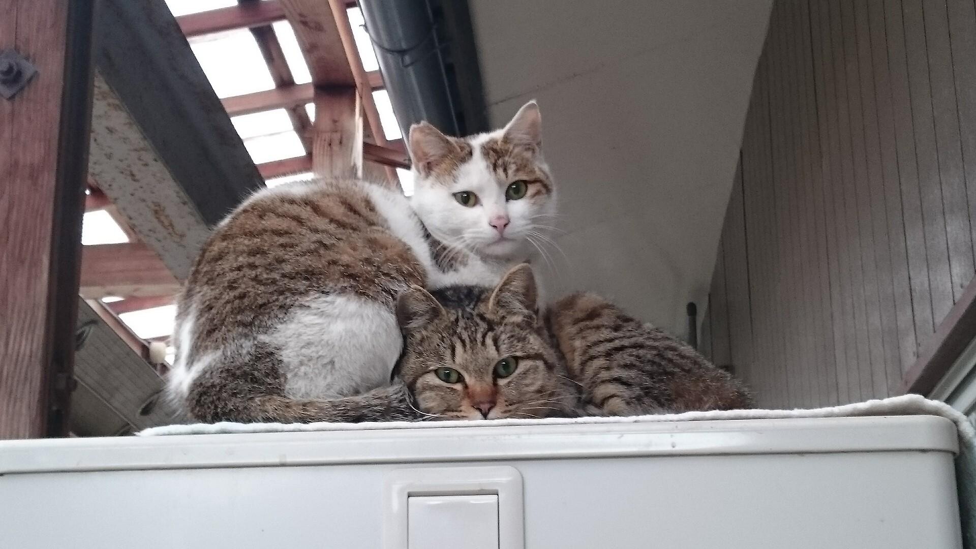 keikoのページ | YAMAP / ヤマップ