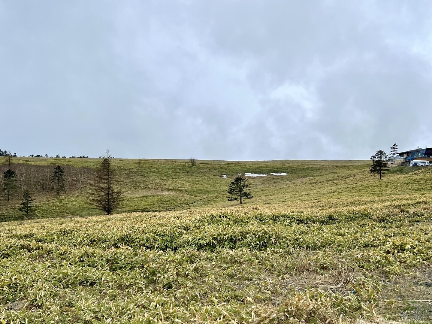 美ヶ原 / Y Yukoさんの美ヶ原の活動データ | YAMAP / ヤマップ