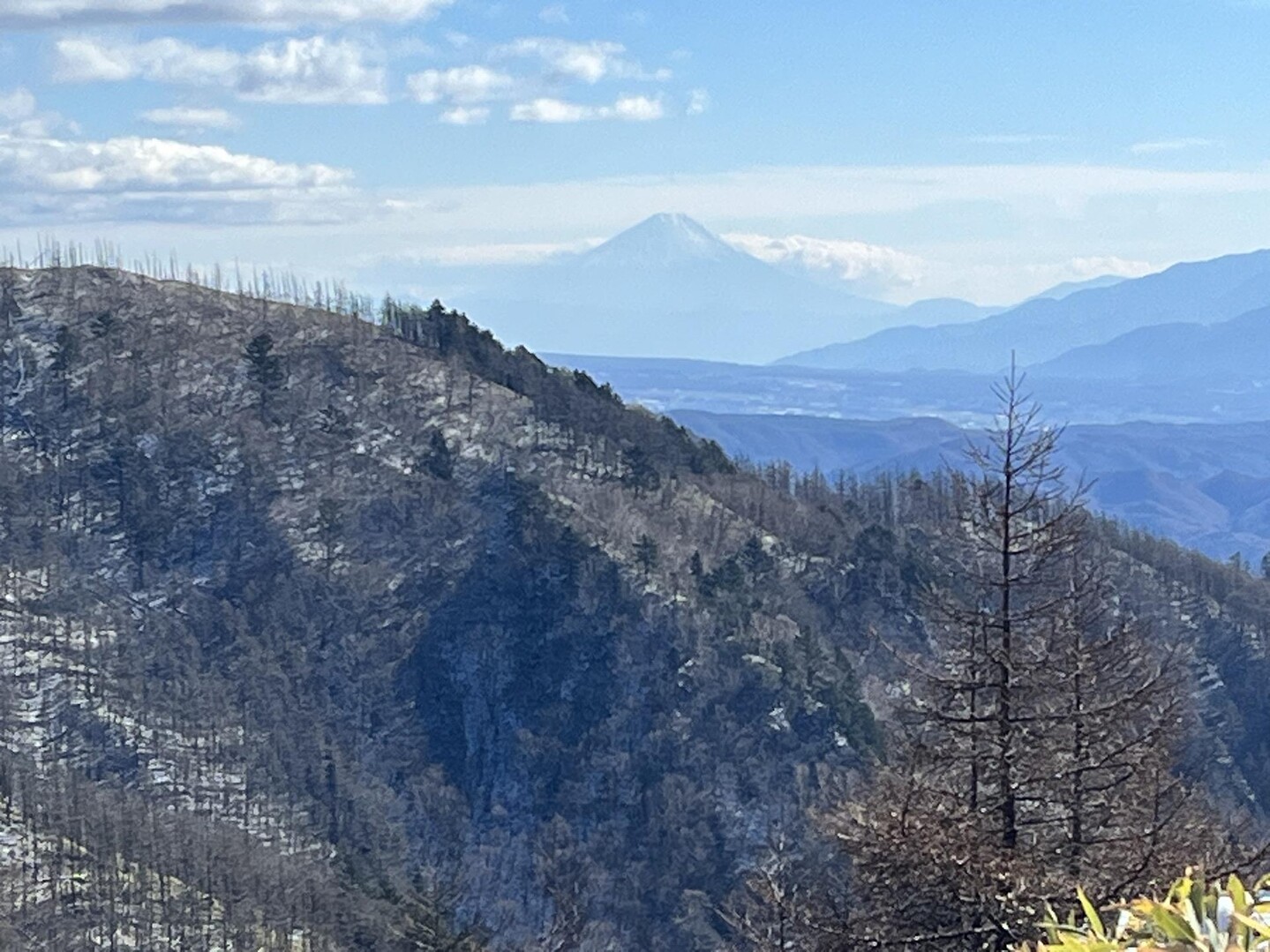 今日の鉢伏山 うっすらと積雪がありました... / hachacha-umemeさんのモーメント | YAMAP / ヤマップ