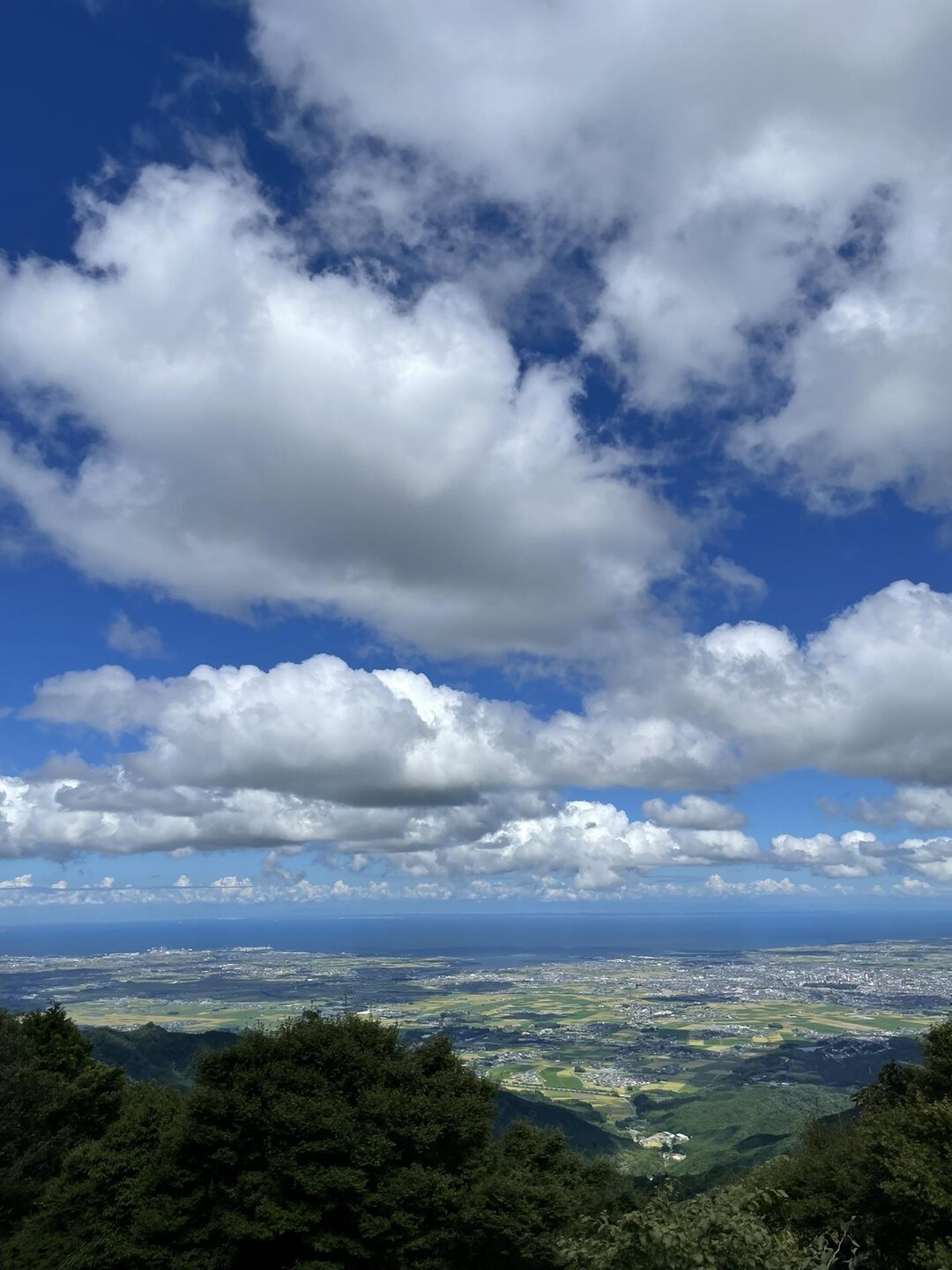 堀坂山 / rubyさんの堀坂山・観音岳・桝形山（白米城）の活動データ | YAMAP / ヤマップ