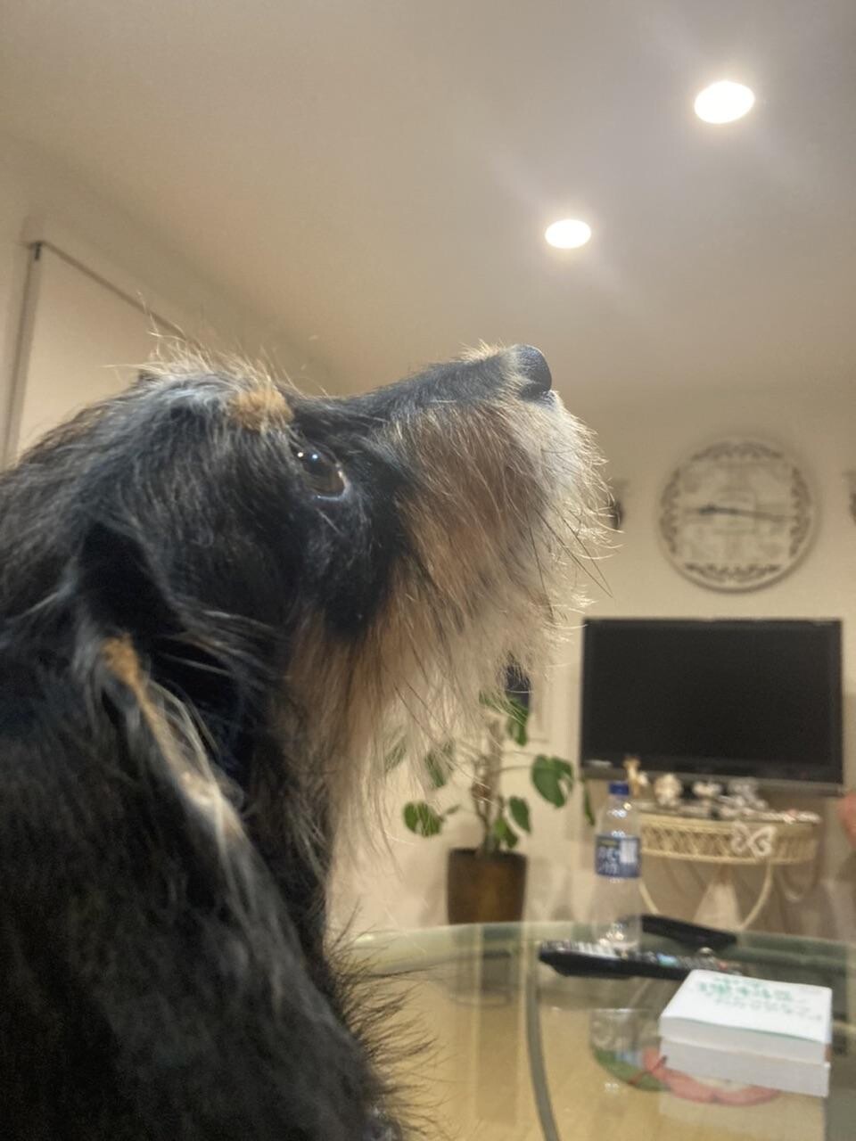 mihoのページ | YAMAP / ヤマップ