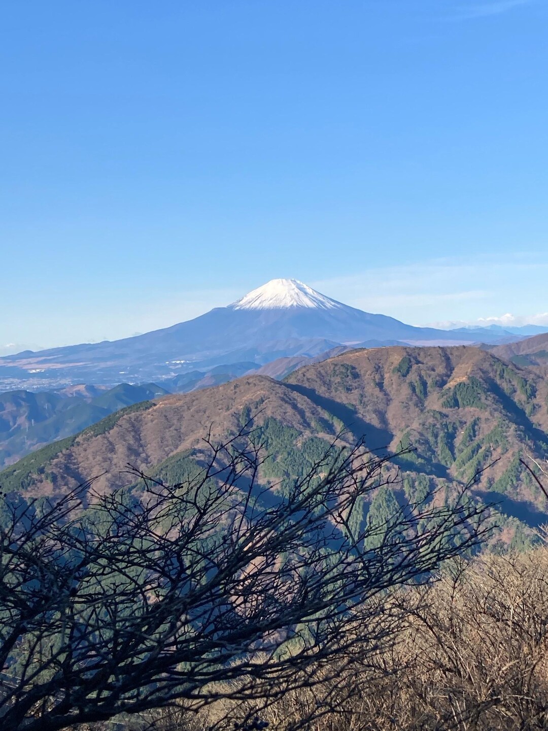 大山、今年の登り納め / MAT 48さんの大山の活動データ | YAMAP / ヤマップ