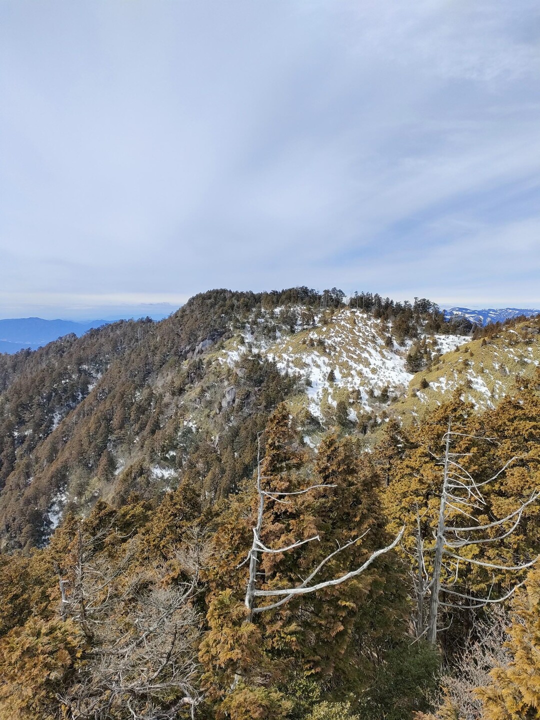 R4年度 南信飯田お世話になりました🙇南木曽岳（長野県南木曽町） / たかかさんの南木曽岳の活動データ | YAMAP / ヤマップ