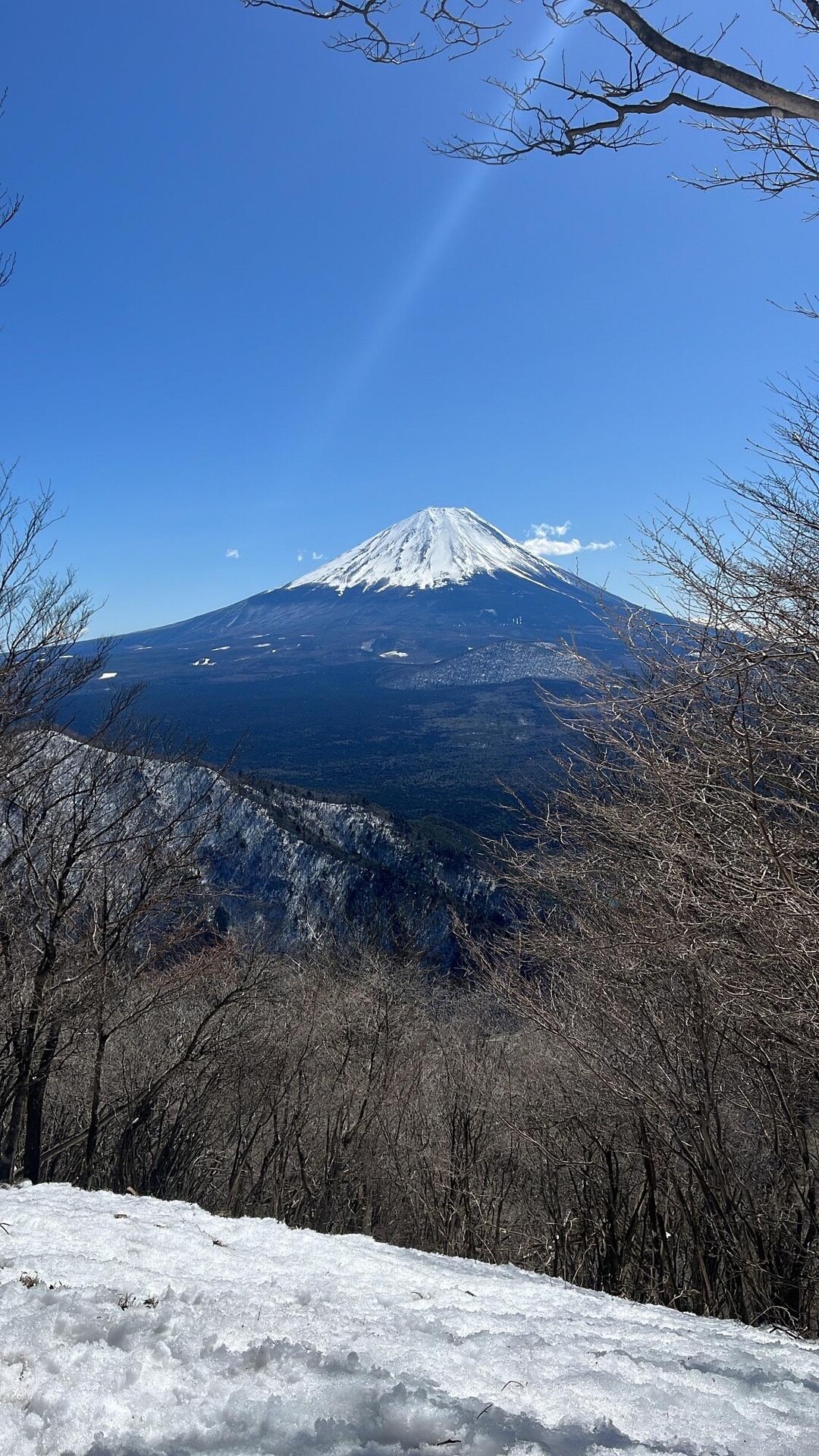 午前の部:精進山・三方分山 / Shinamonさんの節刀ヶ岳・破風山・足和田山の活動データ | YAMAP / ヤマップ