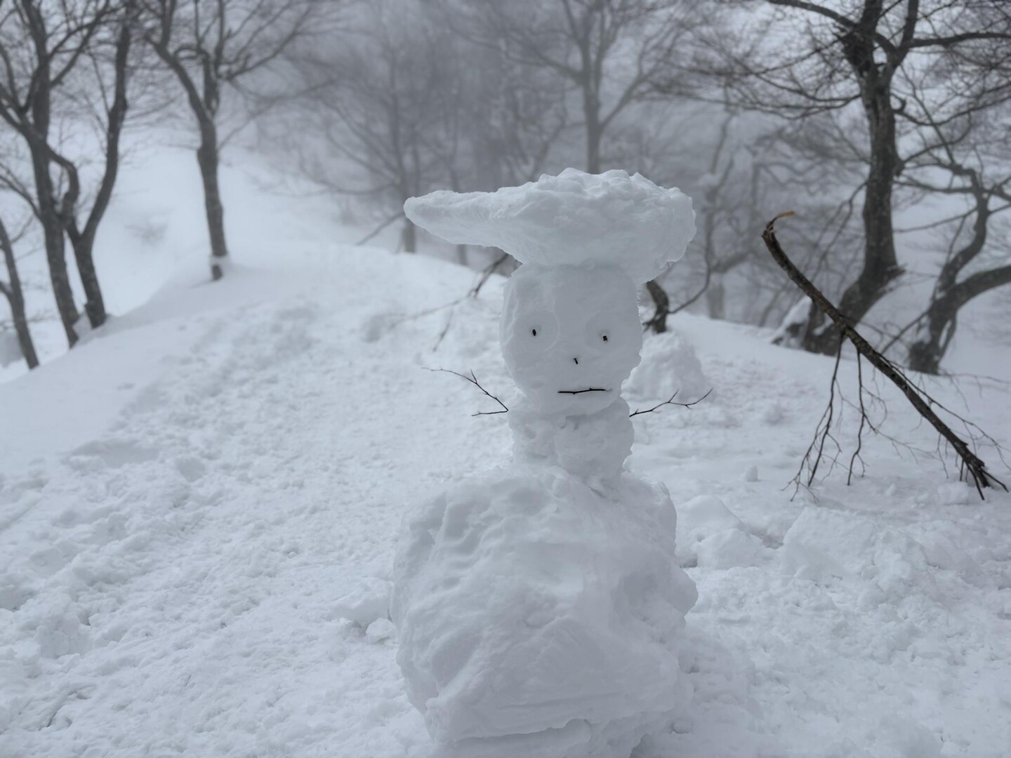 荒島岳 / digi sanさんの荒島岳の活動データ | YAMAP / ヤマップ