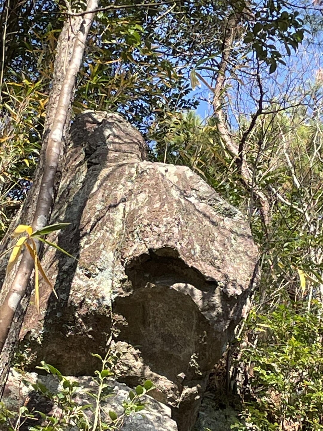 仏経山 石神巡りvol.3 / なべ(ワンゲルOB)さんの仏経山・高瀬山・大黒山の活動データ | YAMAP / ヤマップ