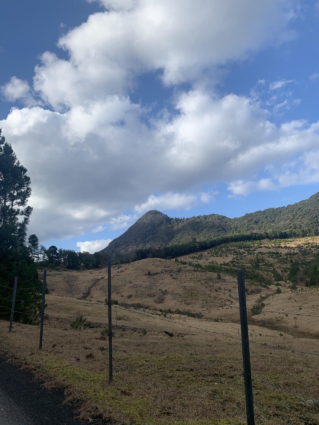 岳山 / katuさんの隠岐諸島・島後の活動データ | YAMAP / ヤマップ