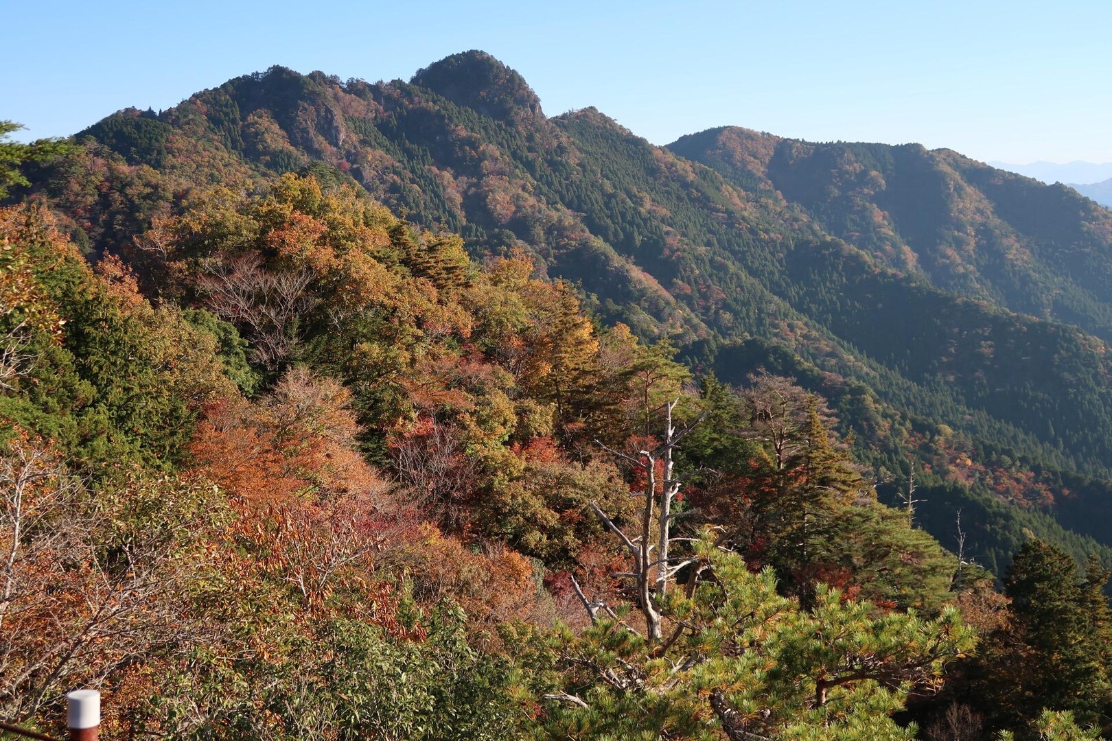岩古谷山 / Jonathanさんの宇連山・鳳来寺山・岩古谷山の活動日記 | YAMAP / ヤマップ