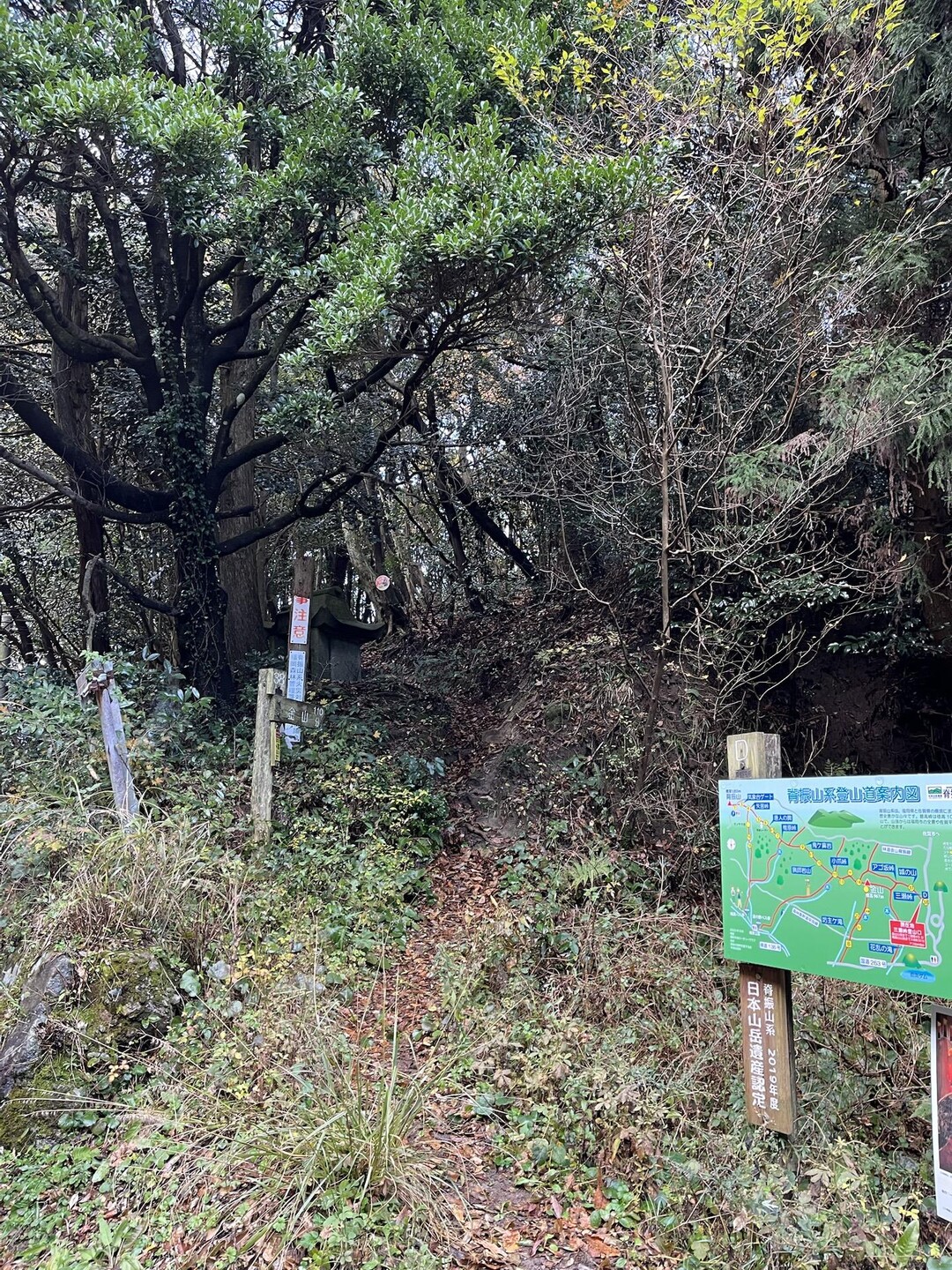 即席ユニットで縦走隊😆🙌🏻 / ayaka-Kさんの脊振山・金山の活動データ | YAMAP / ヤマップ
