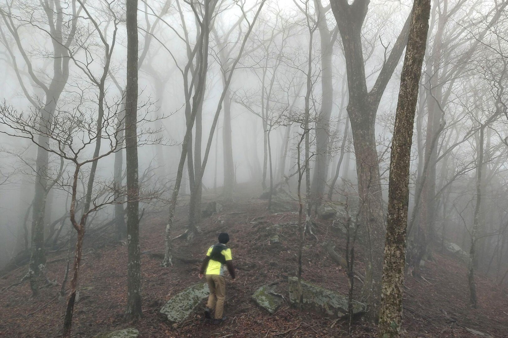 高千穂つながる トレイル / よっちゃんさんのTakachiho Peaks ～つながるトレイル～の活動データ | YAMAP / ヤマップ