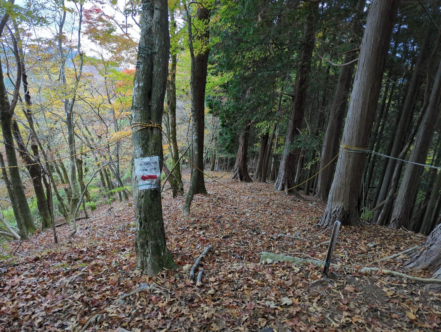 Stevenさんの投稿したフィールドメモ | YAMAP / ヤマップ