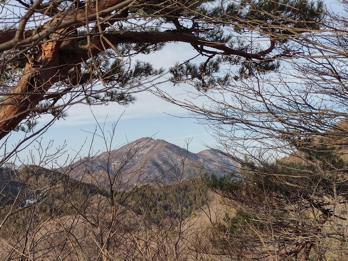 国上山 / Andrewさんの弥彦山・多宝山・雨乞山の活動データ | YAMAP / ヤマップ