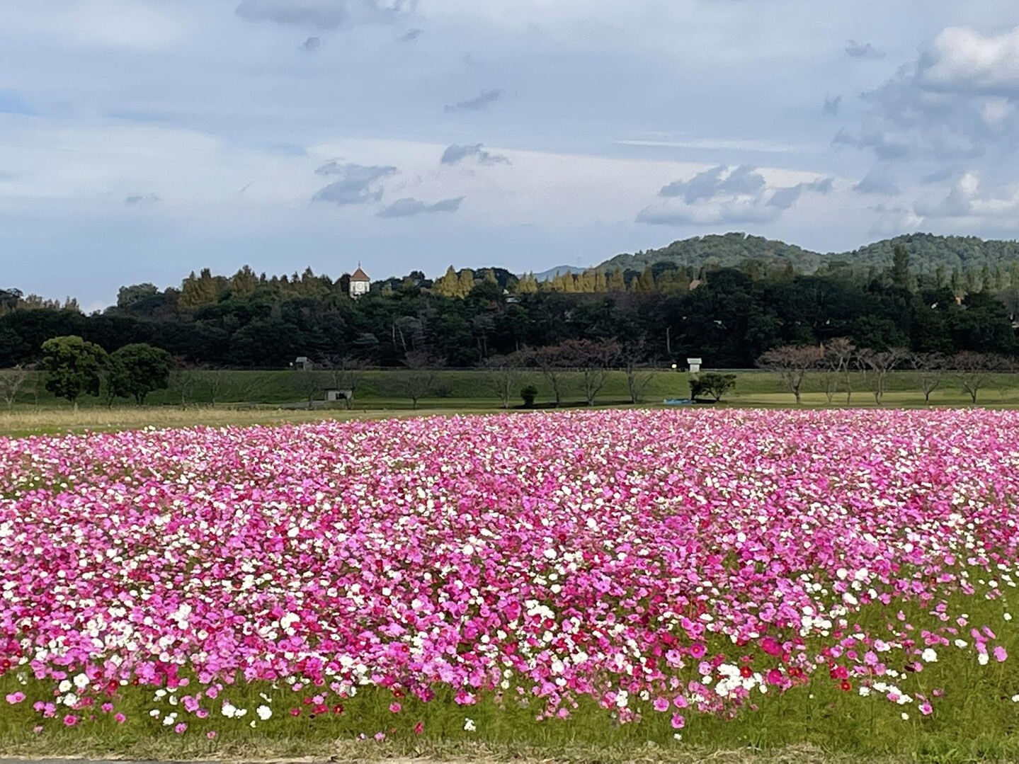 鎌ヶ岳の帰り / brocken_sさんのモーメント | YAMAP / ヤマップ