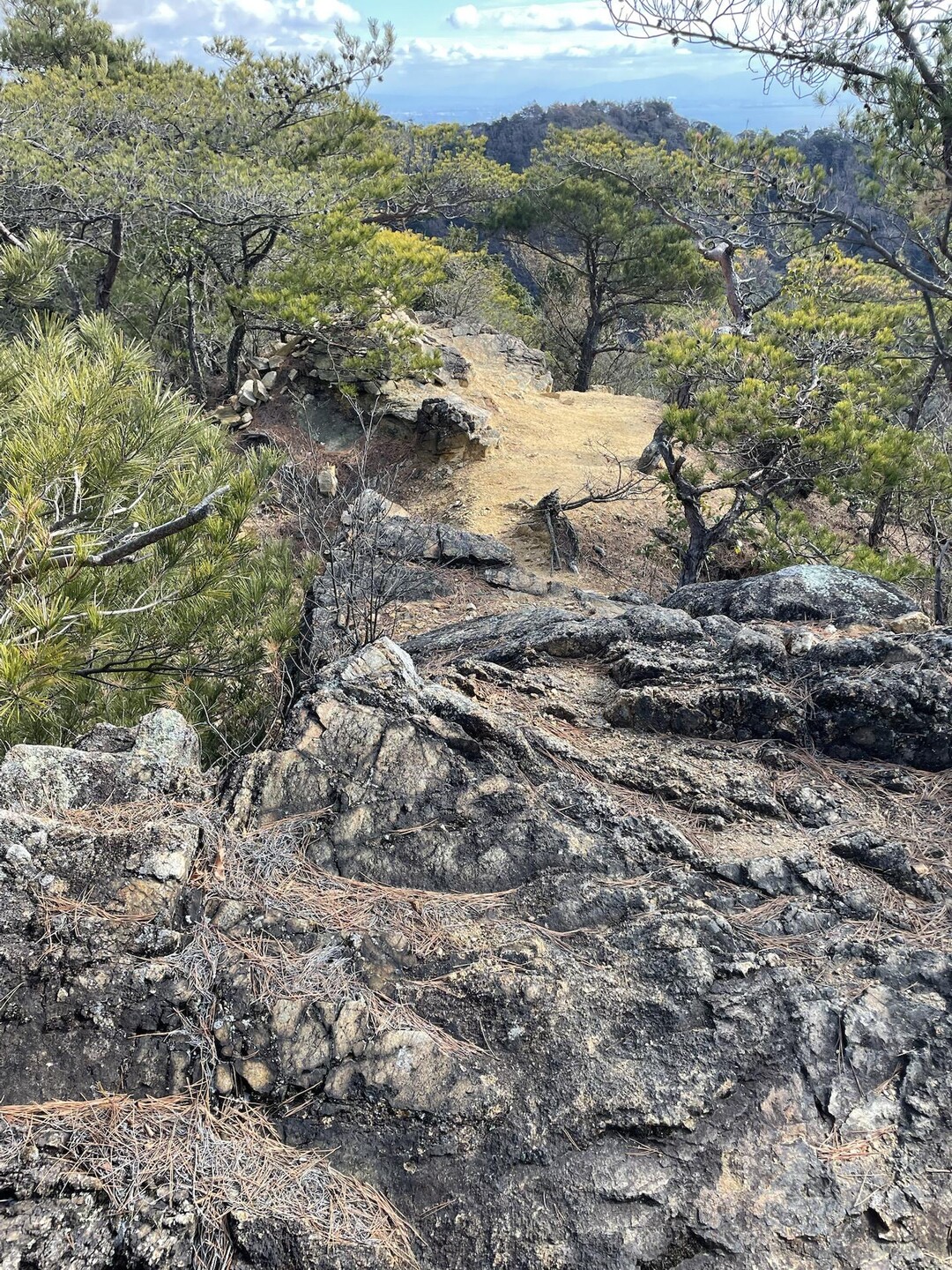 夜勤明けで摩耶山周回🍀 / Solaさんの六甲山・長峰山・摩耶山の活動データ | YAMAP / ヤマップ
