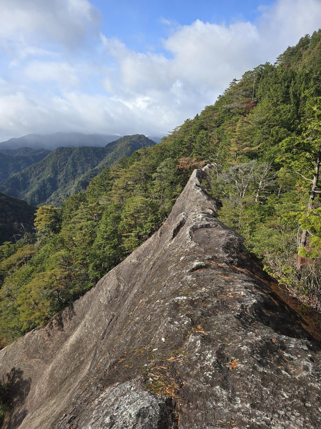 昨日は久しぶりの三ッ瀬明神山へ 初めての... / もげしゃんさんのモーメント | YAMAP / ヤマップ
