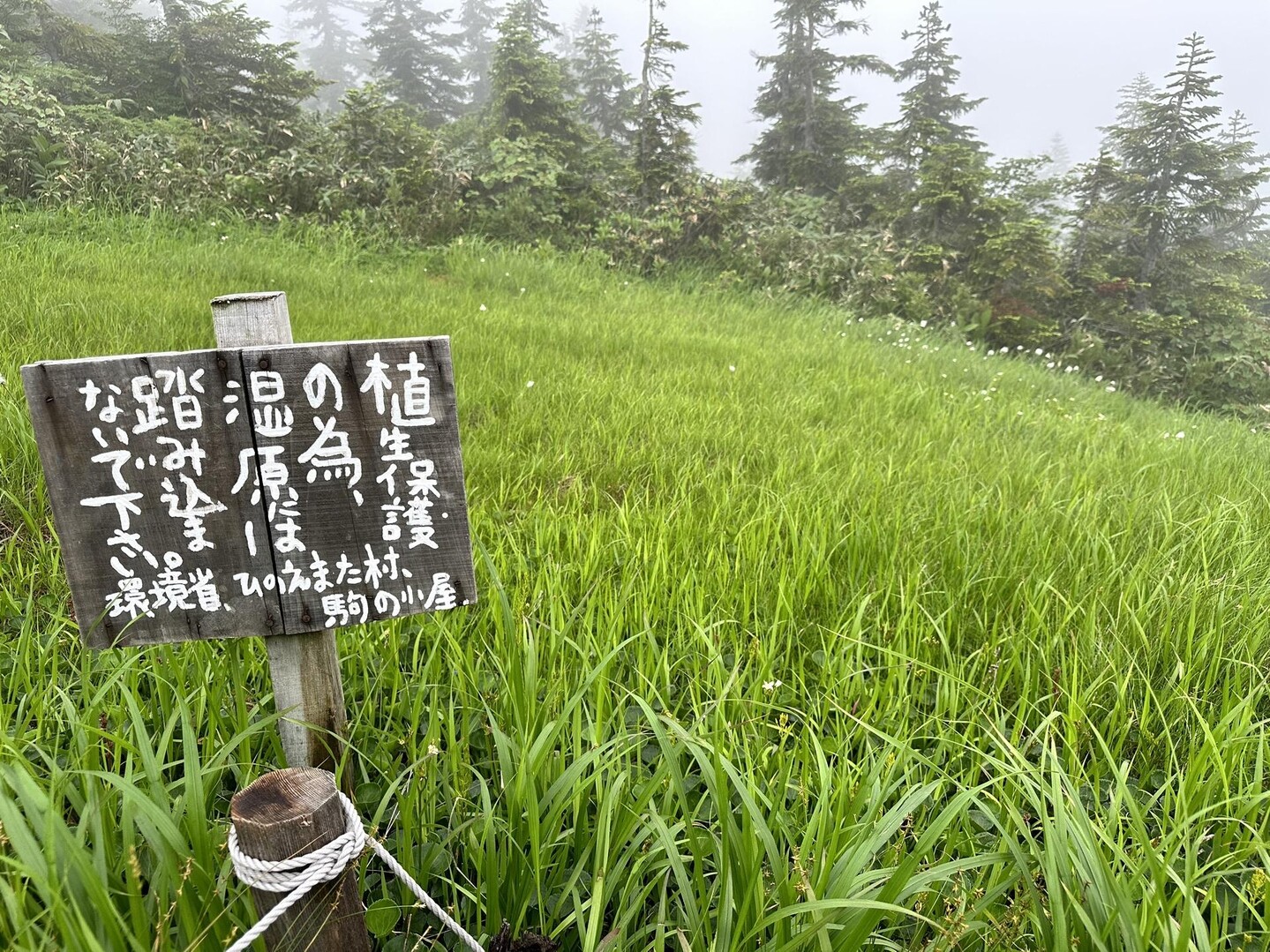 会津駒ヶ岳 / yumiさんの会津駒ヶ岳の活動データ | YAMAP / ヤマップ