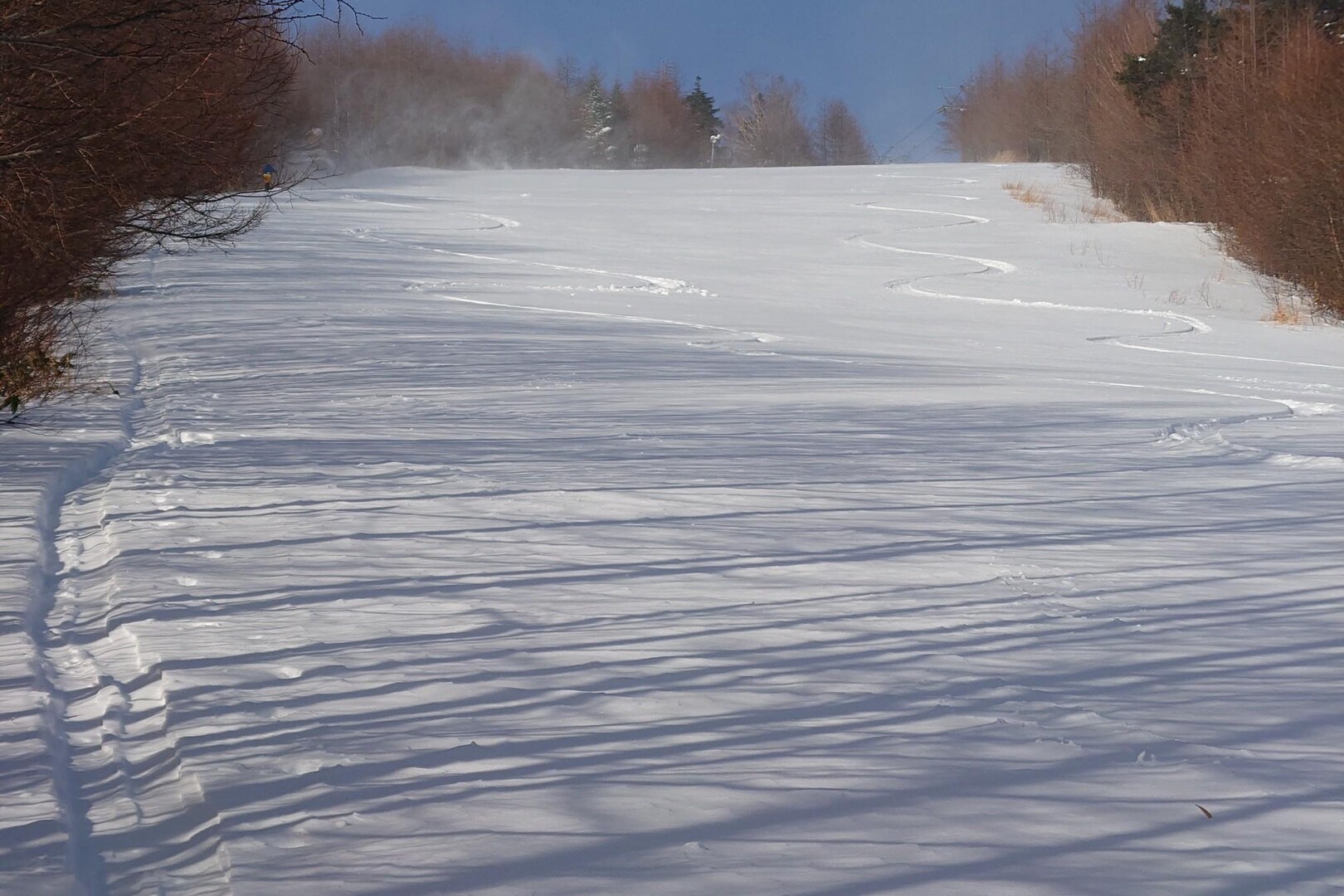 Mt.乗鞍 BC練習②-2024-12-30 / mc40さんの乗鞍岳の活動データ | YAMAP / ヤマップ